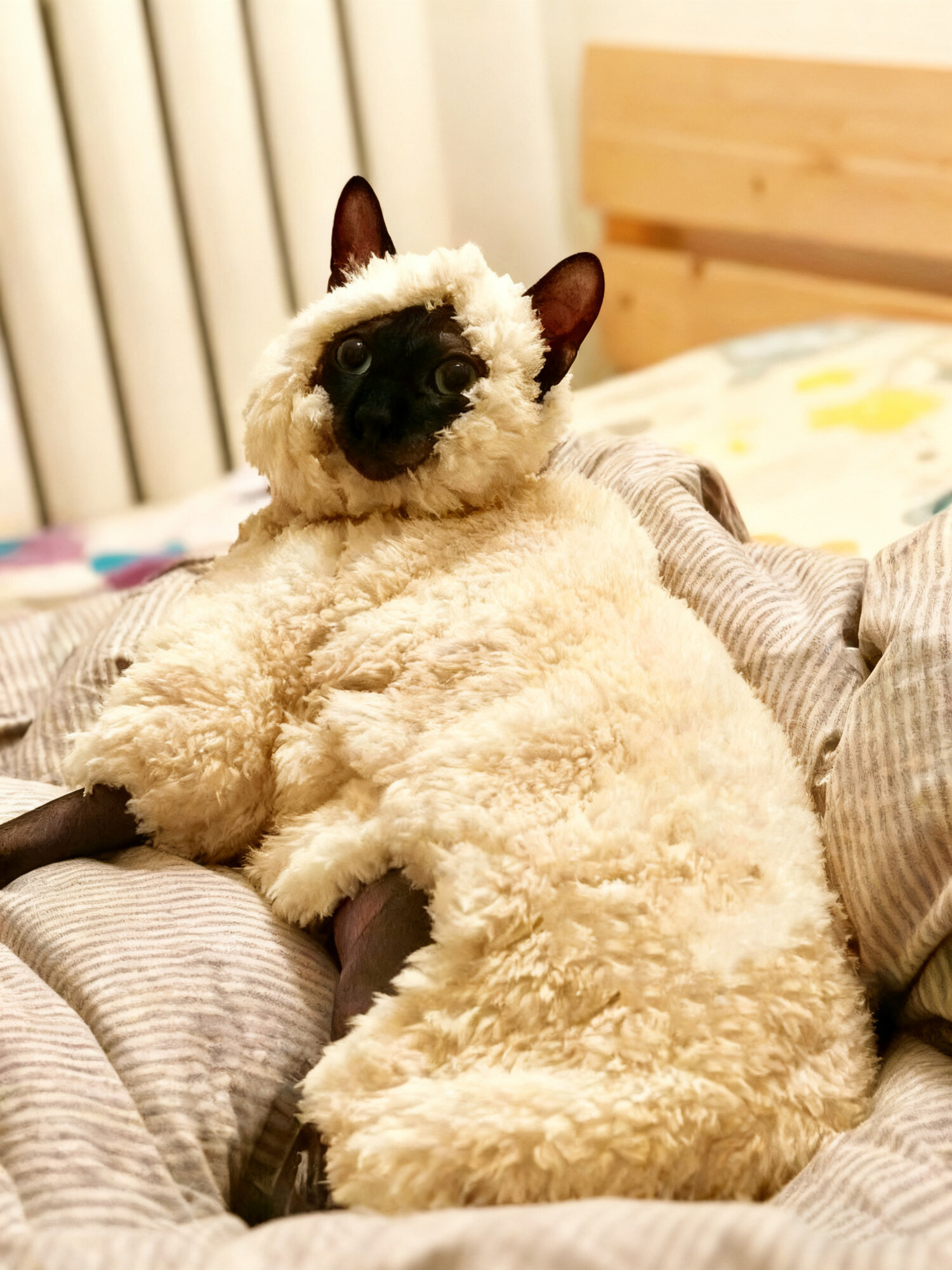 Одежда для кошек "Барашек", из белой двусторонней ткани, зимняя, 2 шт, размер XL