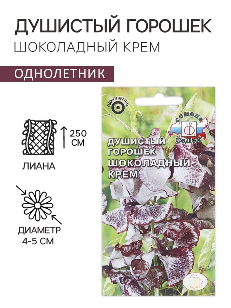 Семена СеДек "Душистый горошек Шоколадный крем", однолетние, 0,5 г