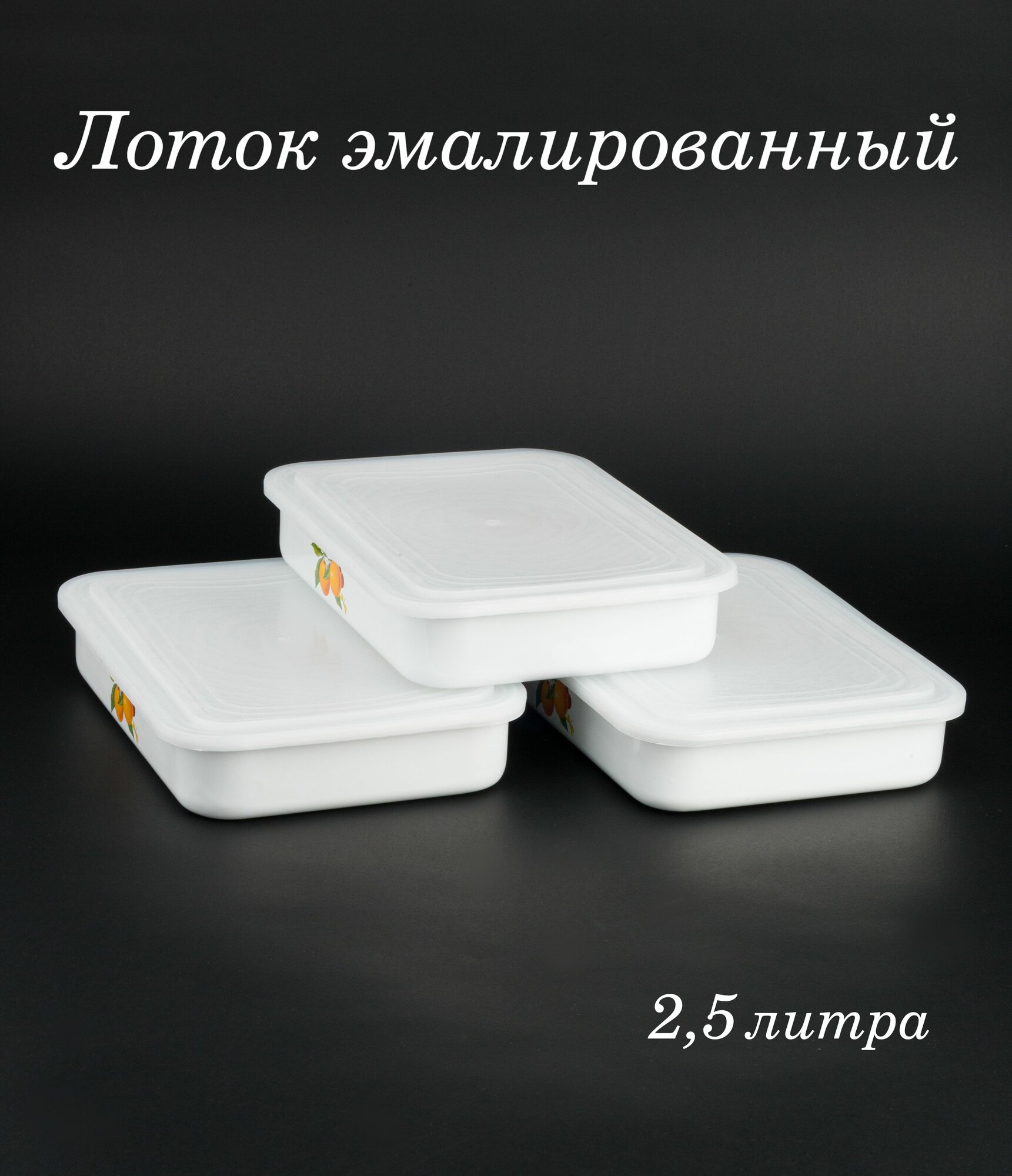Лоток, судок эмалированный 2,5л с рисунком для заливного, для холодца, для хранения продуктов, 3 шт