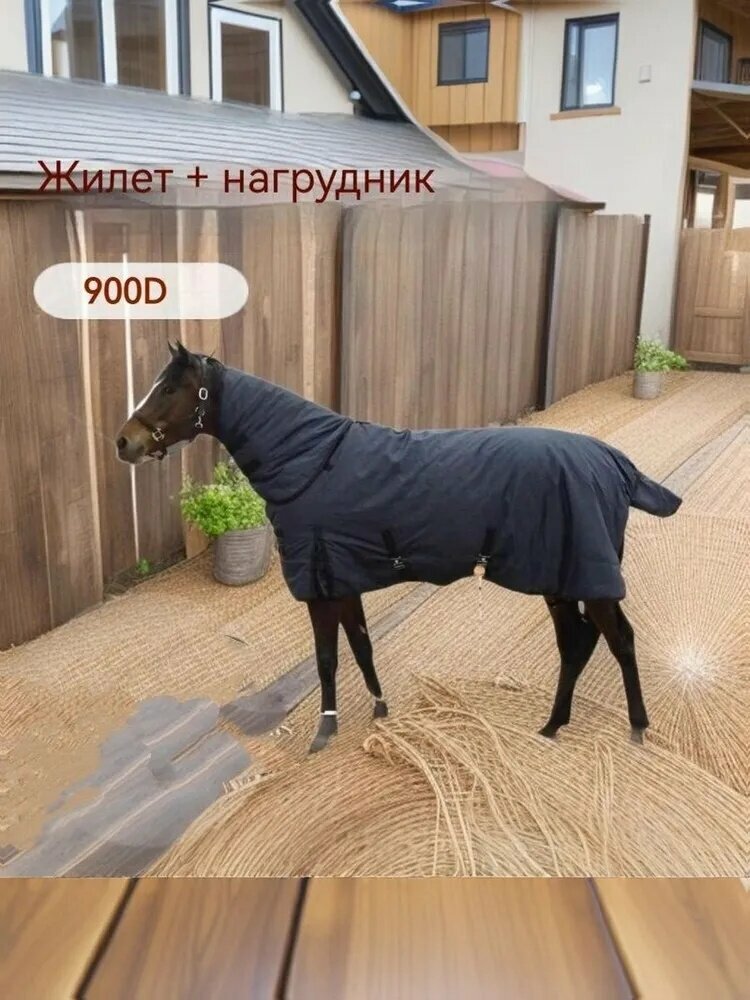 Попона для лошади