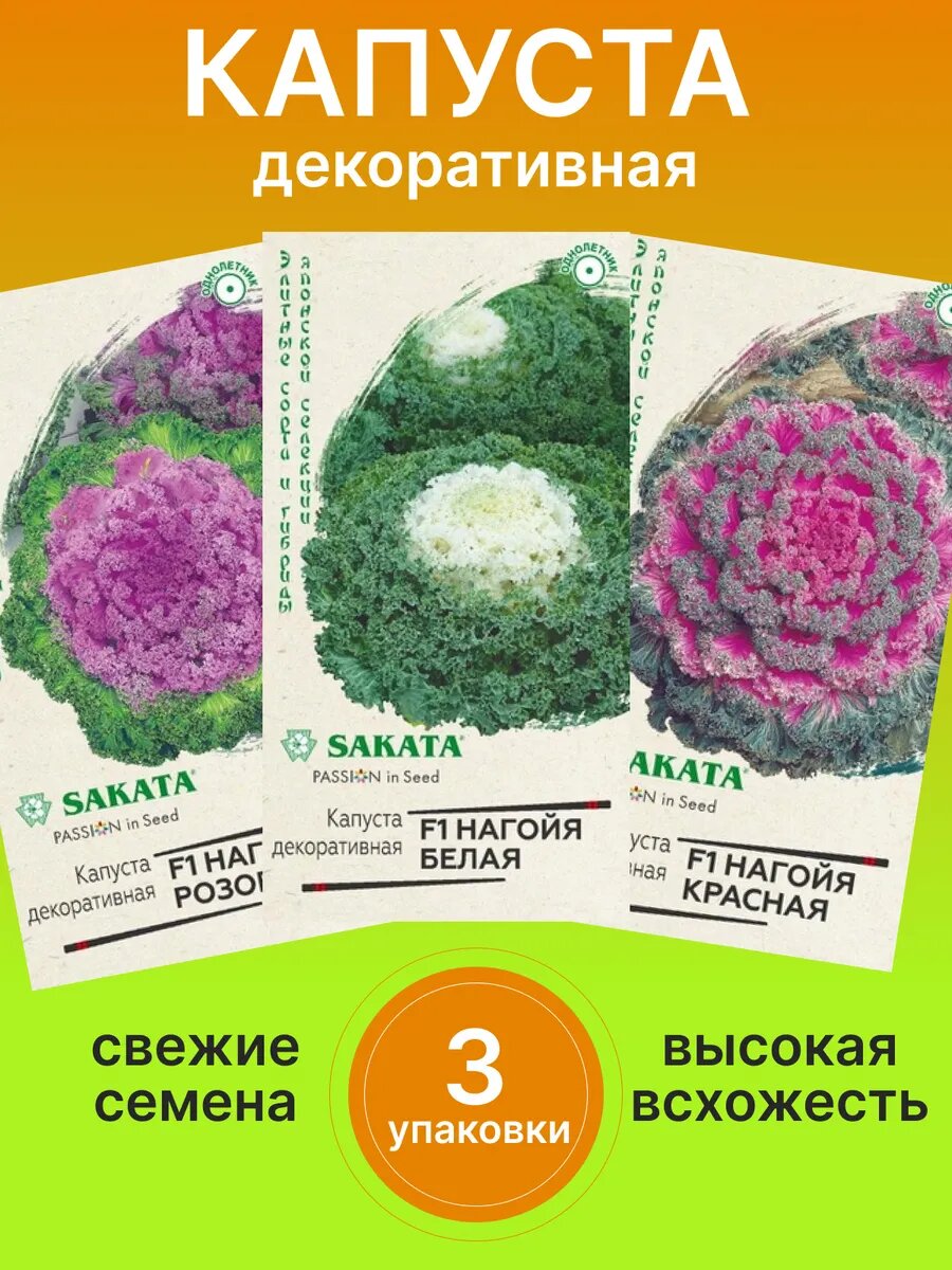 Семена капусты декоративной 3 пакета по 6 семян