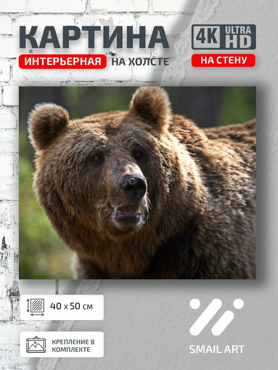 Картина на холсте интерьерная 40 на 50 на стену Морда Animal для детской animal style декор