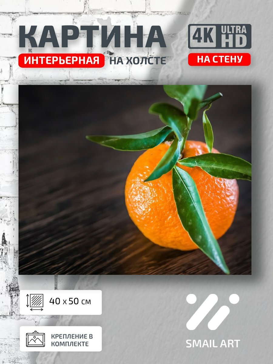 Картина на холсте интерьерная 40 на 50 на стену Зелень Food для офиса кулинария интерьер