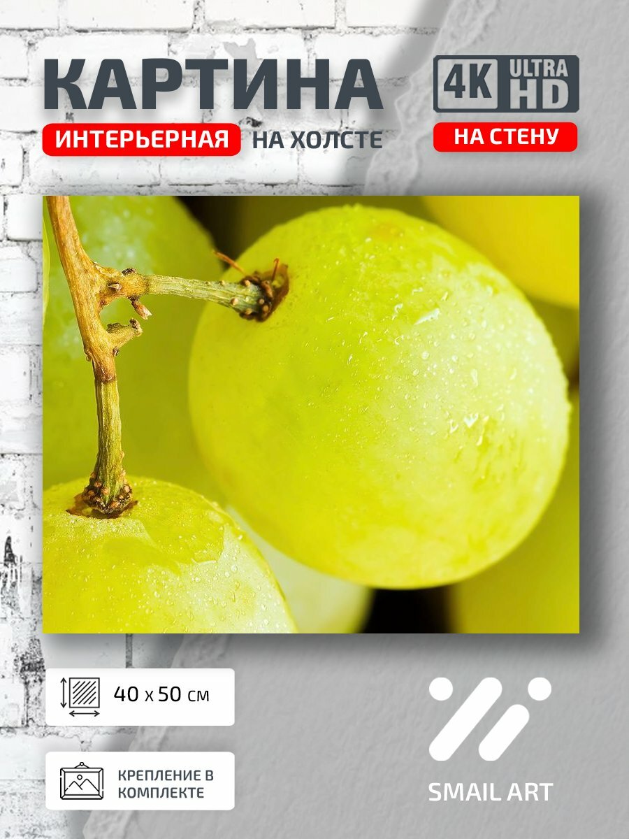 Картина на холсте интерьерная 40 на 50 на стену Виноград Food для кафе кулинария интерьер