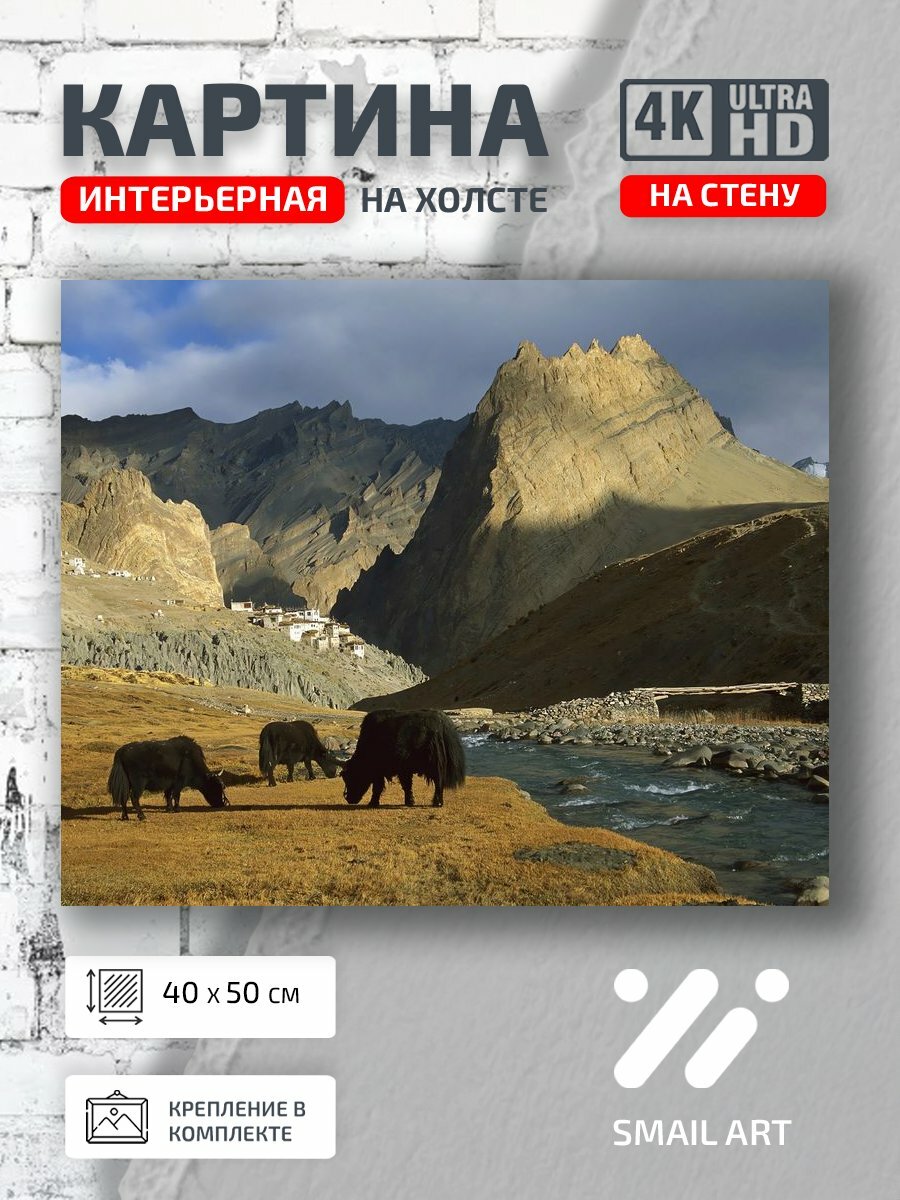 Картина на холсте интерьерная 40 на 50 на стену Выразительная Photoskar для спальни декор