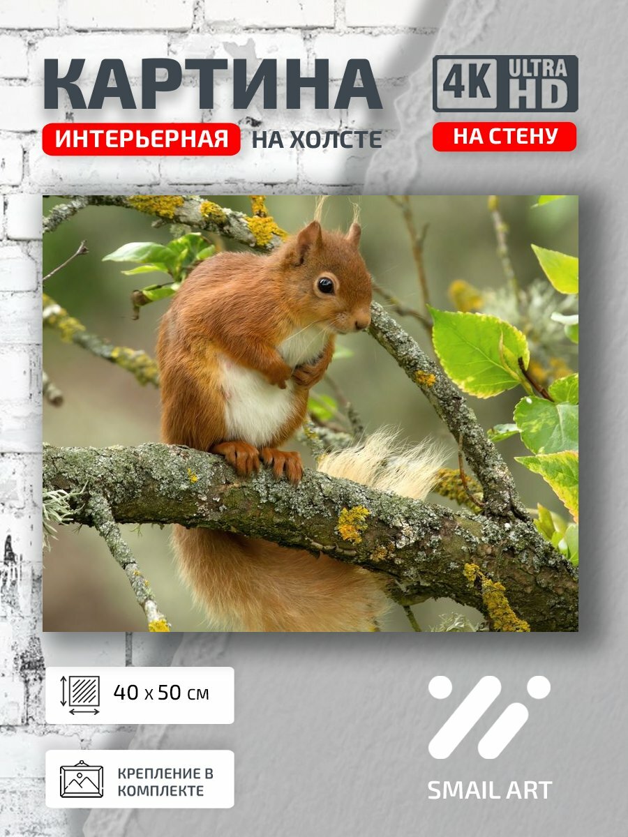 Картина на холсте интерьерная 40 на 50 на стену Ветка Landscape для офиса пейзаж интерьер