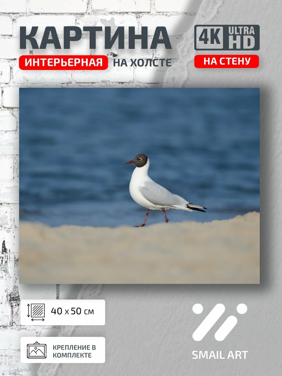Картина на холсте интерьерная 40 на 50 на стену Песке Mood для спальни атмосфера интерьер