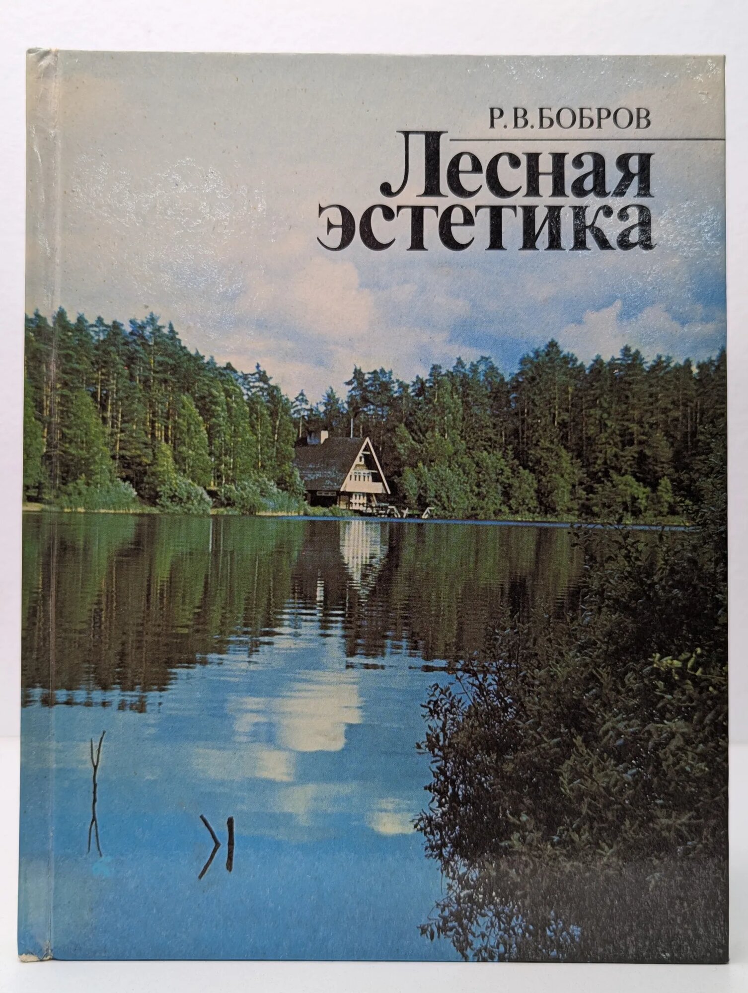 Лесная эстетика Бобров Рэм Васильевич 1989