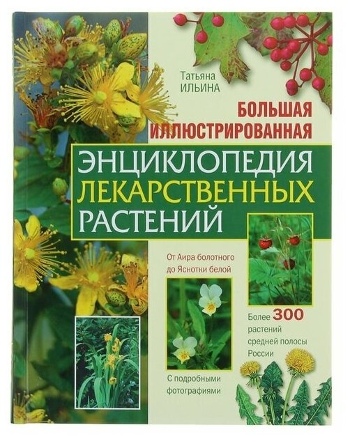 Эксмо Большая иллюстрированная энциклопедия лекарственных растений. автор: Ильина Т. А.