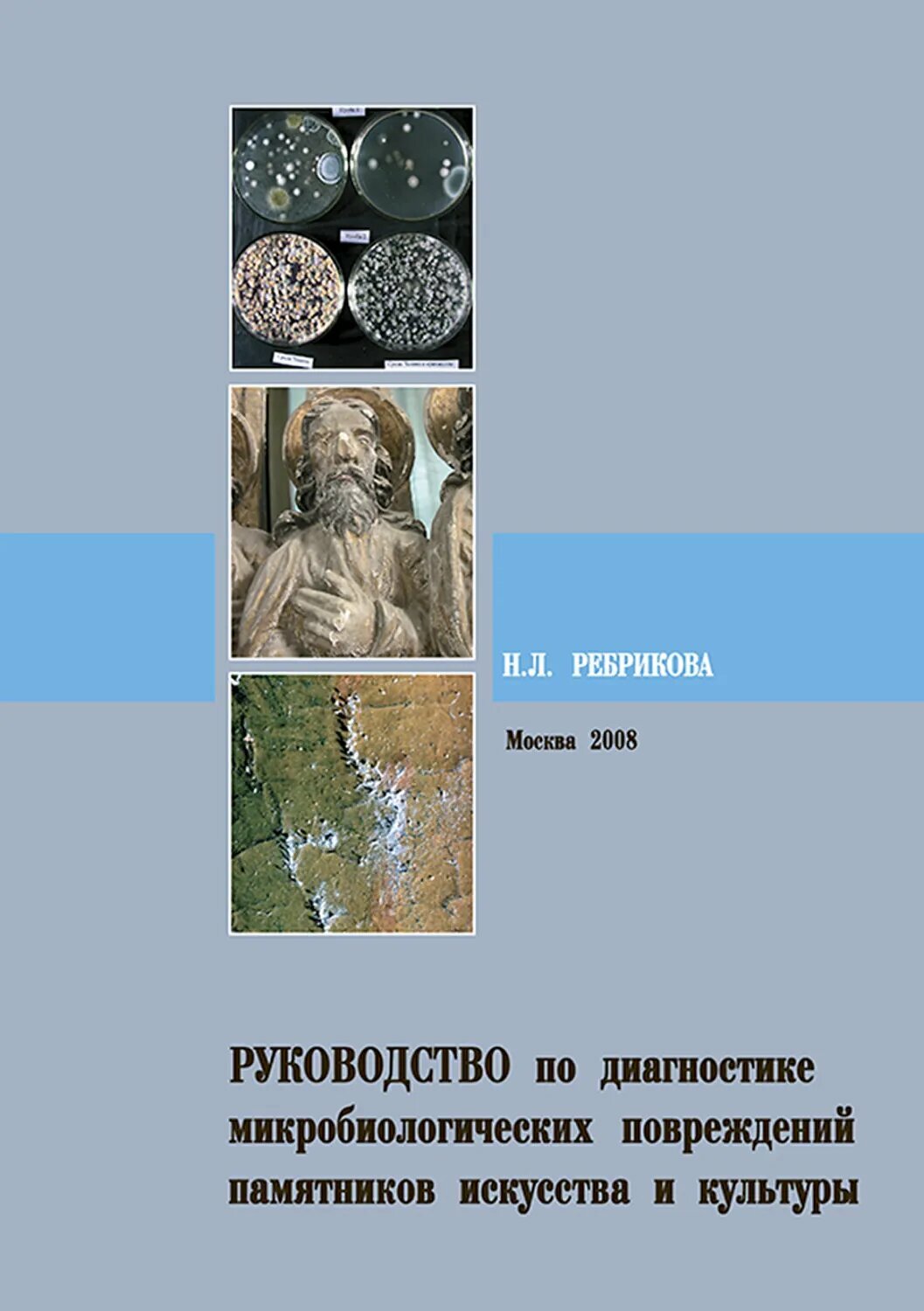 Руководство по диагностике микробиологических повреждений памятников искусства и культуры [Цифровая книга]