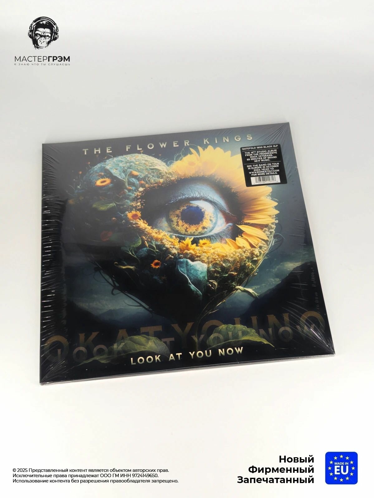 Виниловая пластинка The Flower Kings - Look At You Now (2LP) 2023