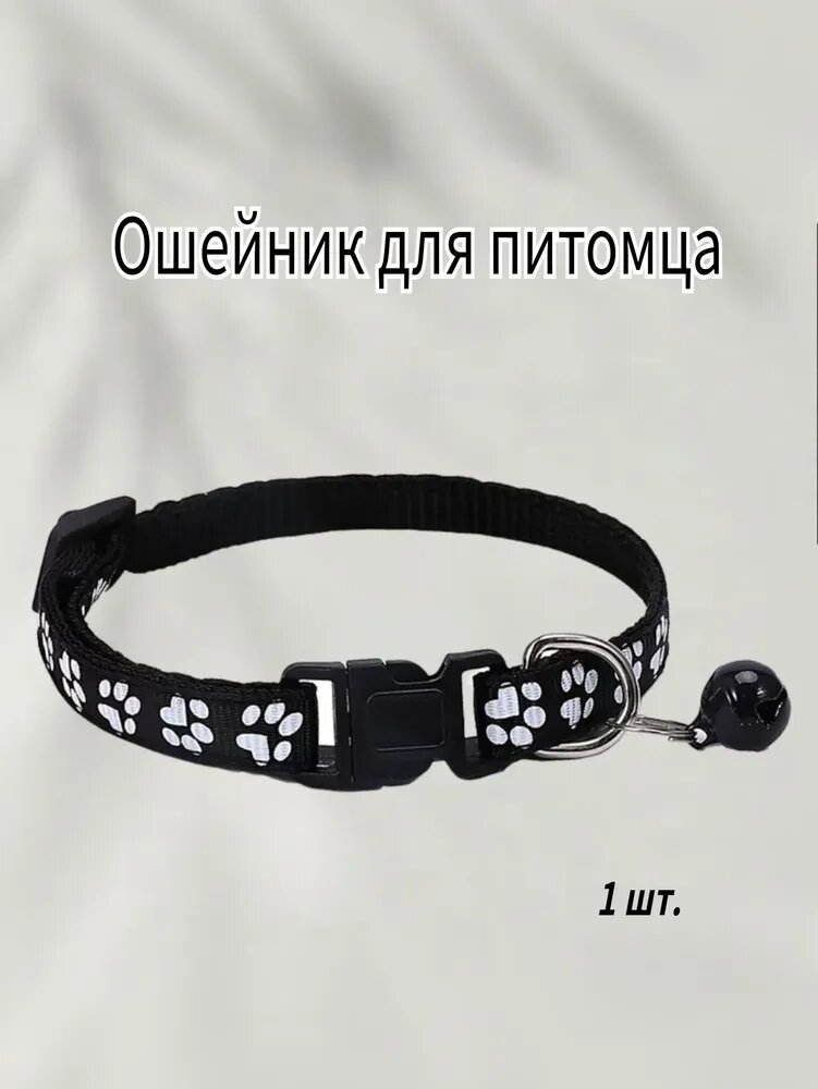 Ошейник