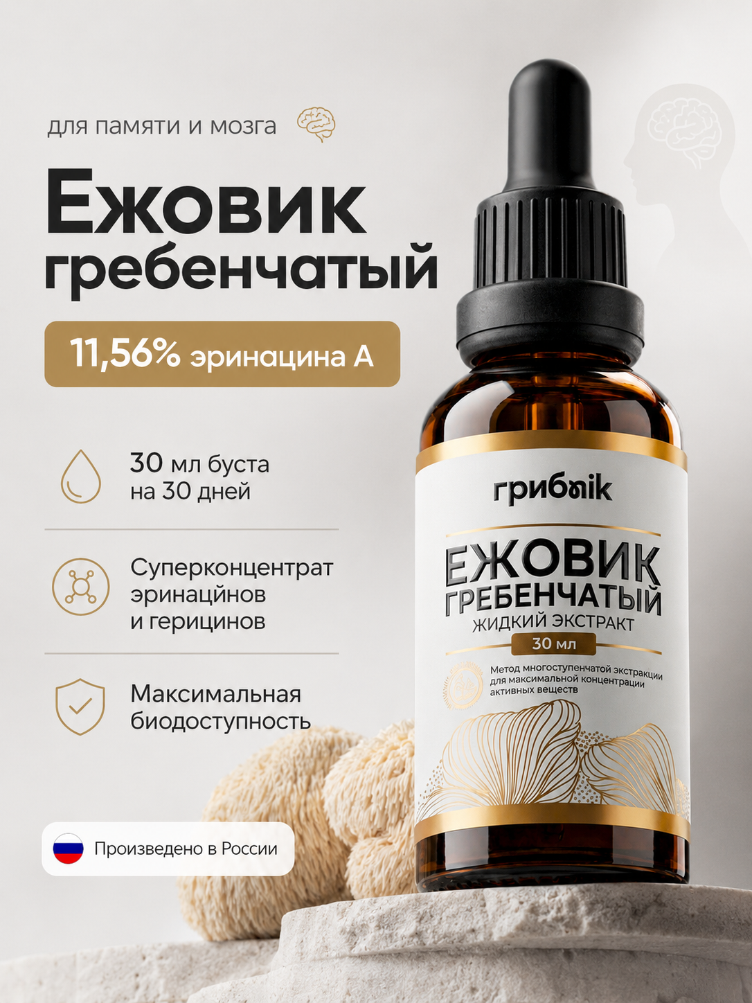 Экстракт ежовика гребенчатого + холин для мозга, 120 капсул, грибnik