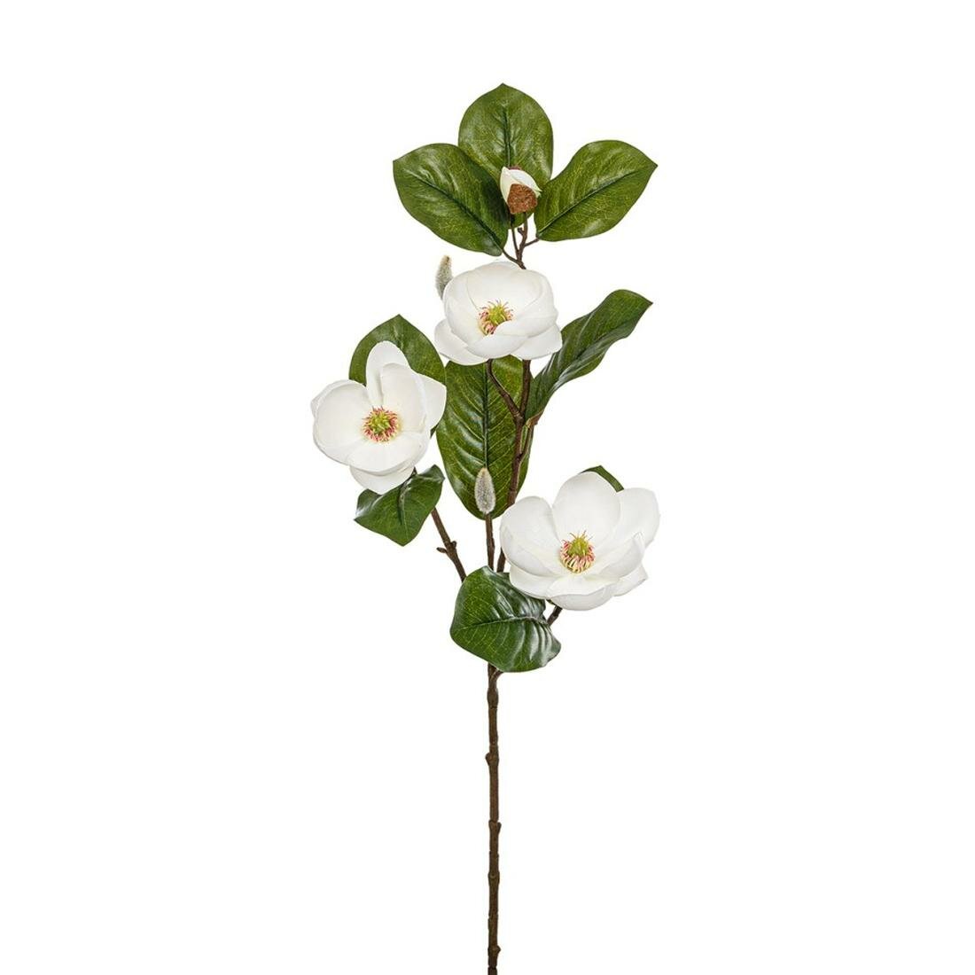 Ветка декоративная "Магнолия" #203939-100 Fiebiger Floristik 74 см