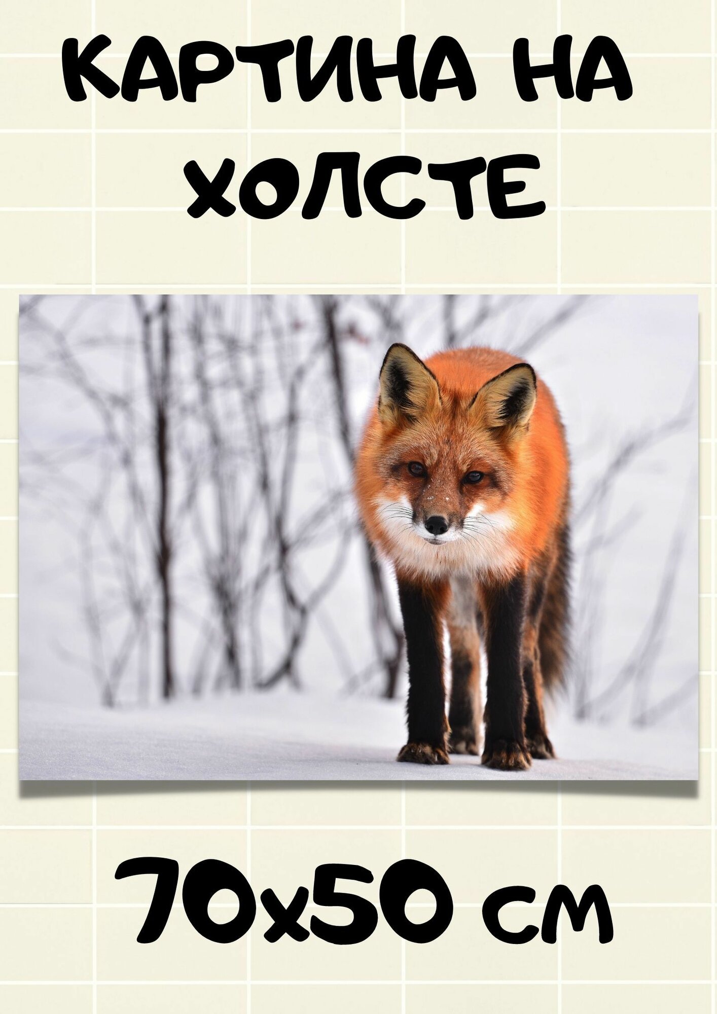 Картина с дикими животными "Лиса в снегу зимой" 70х50 см