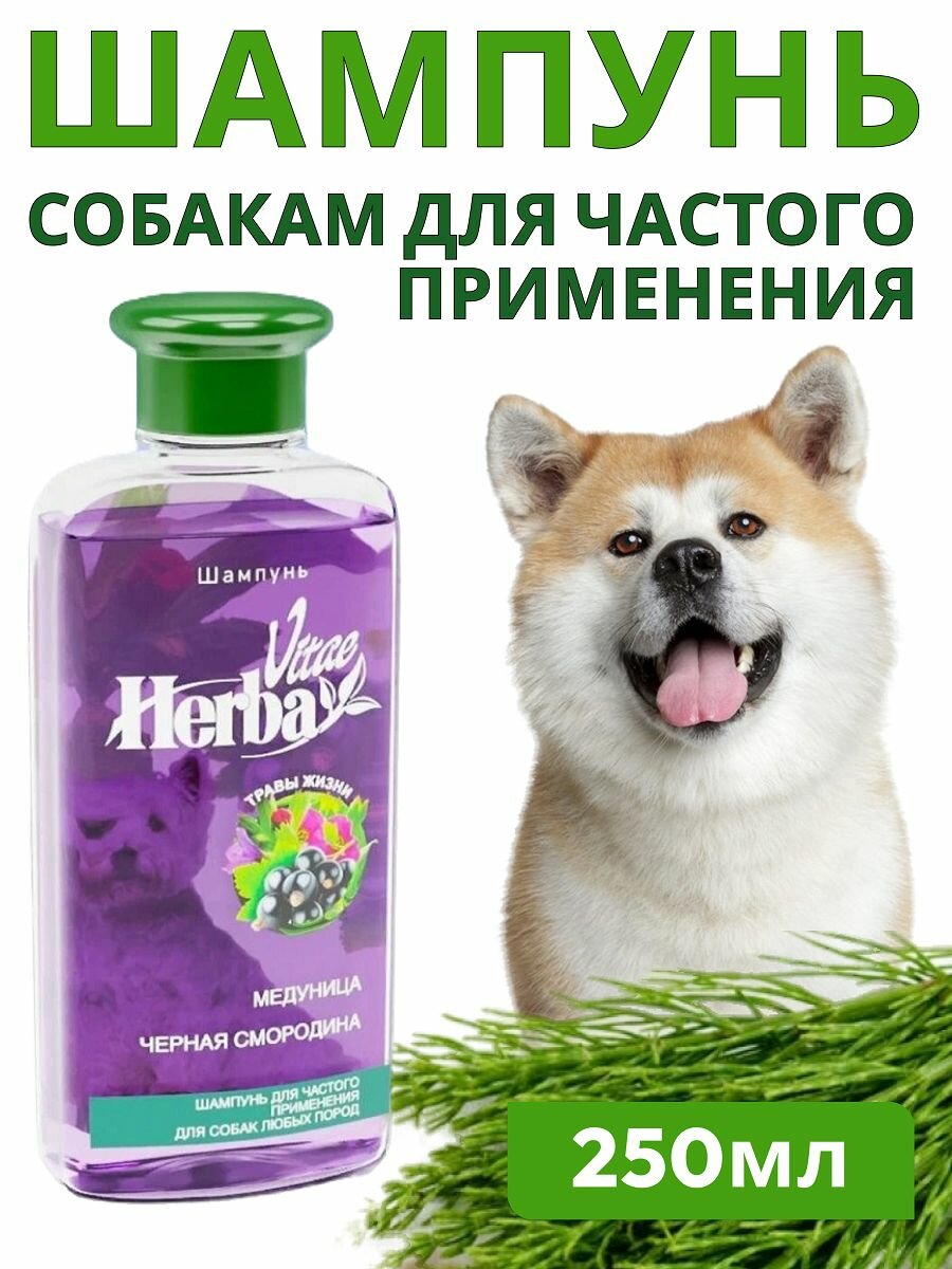 Herba Vitae шампунь для частого применения для собак любых пород 250мл