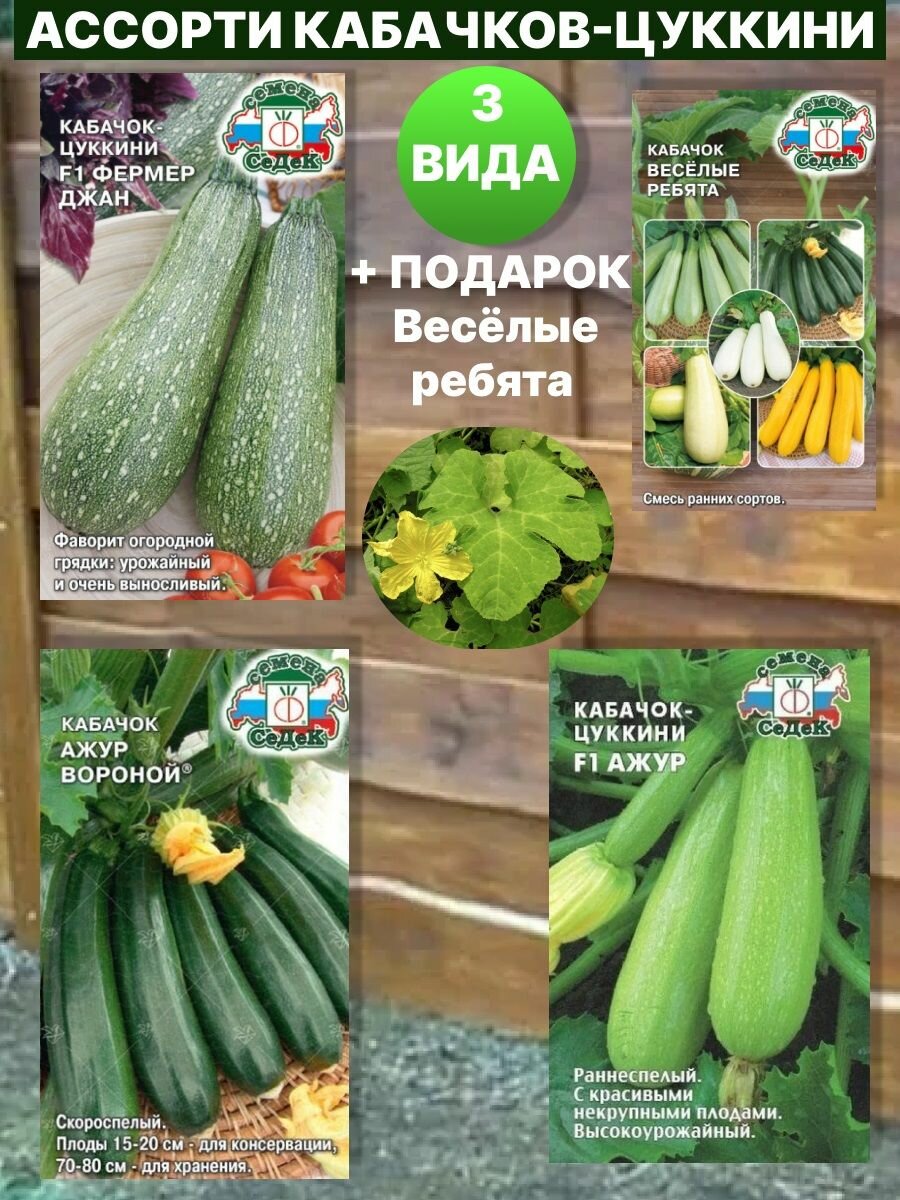 Ассорти кабачков-цуккини СеДеК Ажур, Ажур Вороной, Фермер Джан (+подарок)