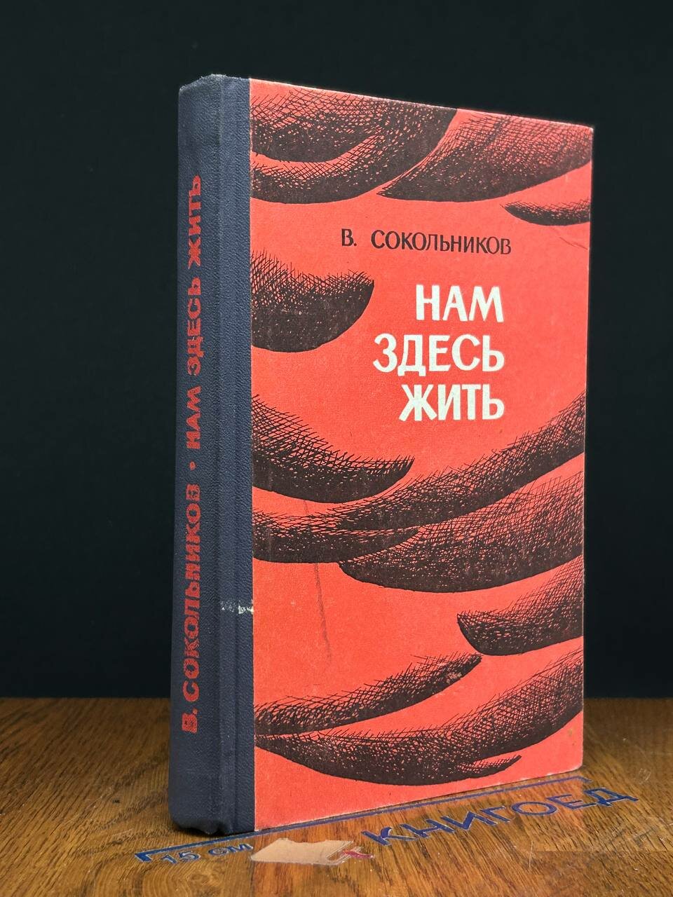 Книга. Нам здесь жить 1972 (2044731138036)