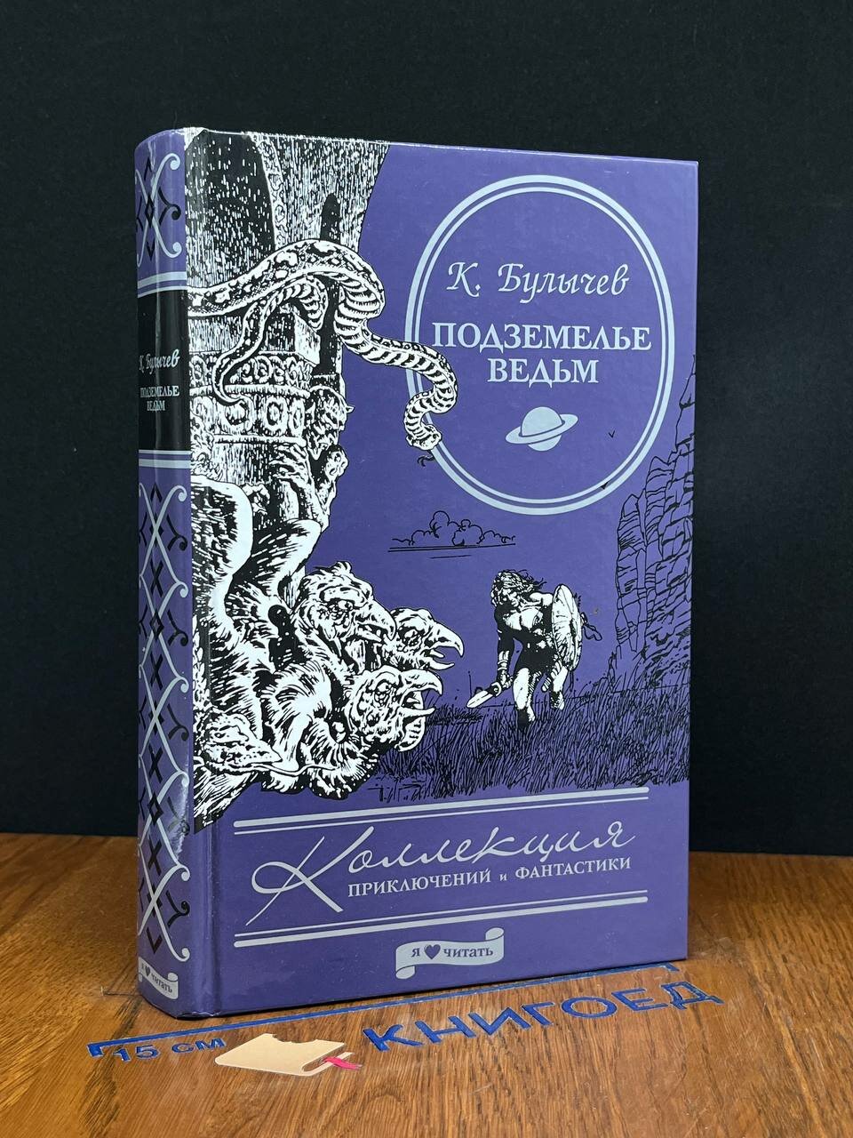 Книга. Подземелье ведьм 2010 (2044921371090)