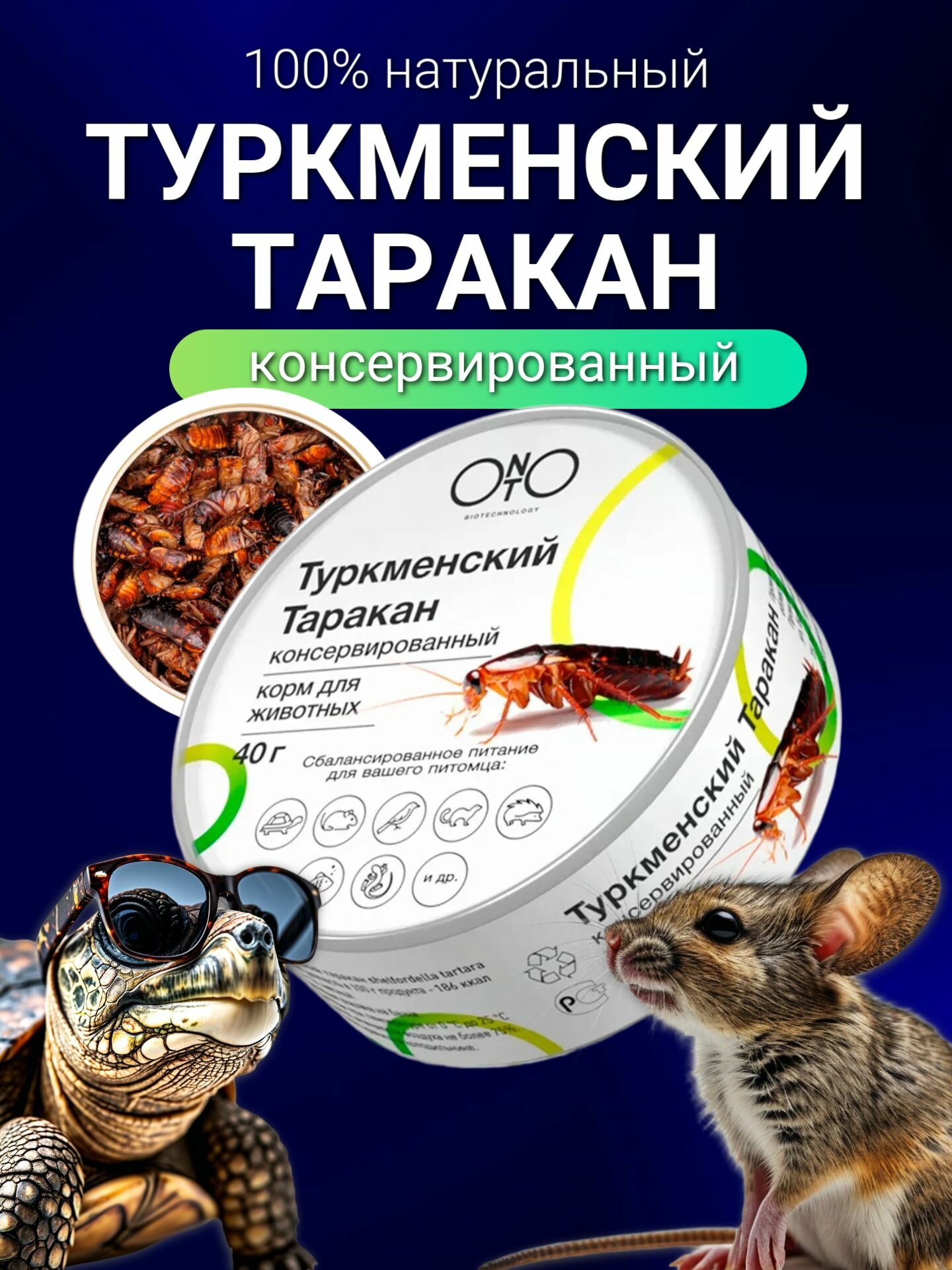 Туркменский таракан консервированный ONTO, 40 г