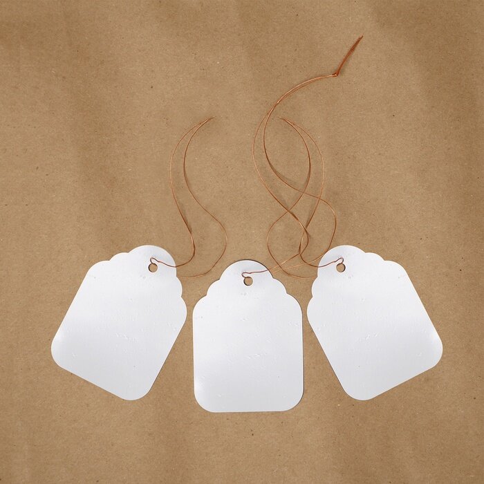 Бирка табличка садовая для растений цветов рассады, 6,5 х 5 см, набор 20 штук, пластик, белые