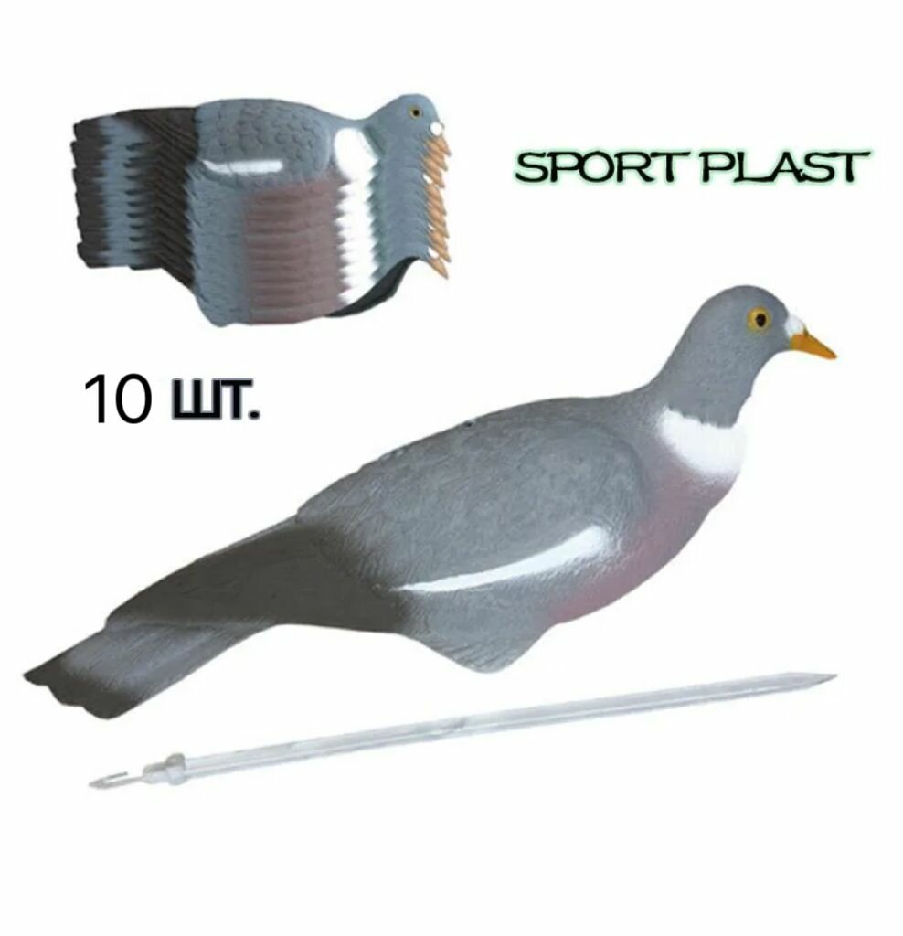 Муляж / Чучело голубя вяхиря, скорлупка - 10 штук