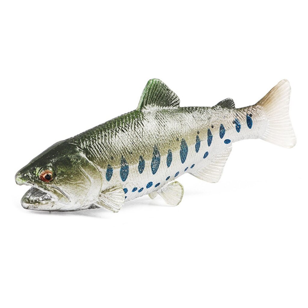 Имитация модели морской флоры и фауны-Лосось 23