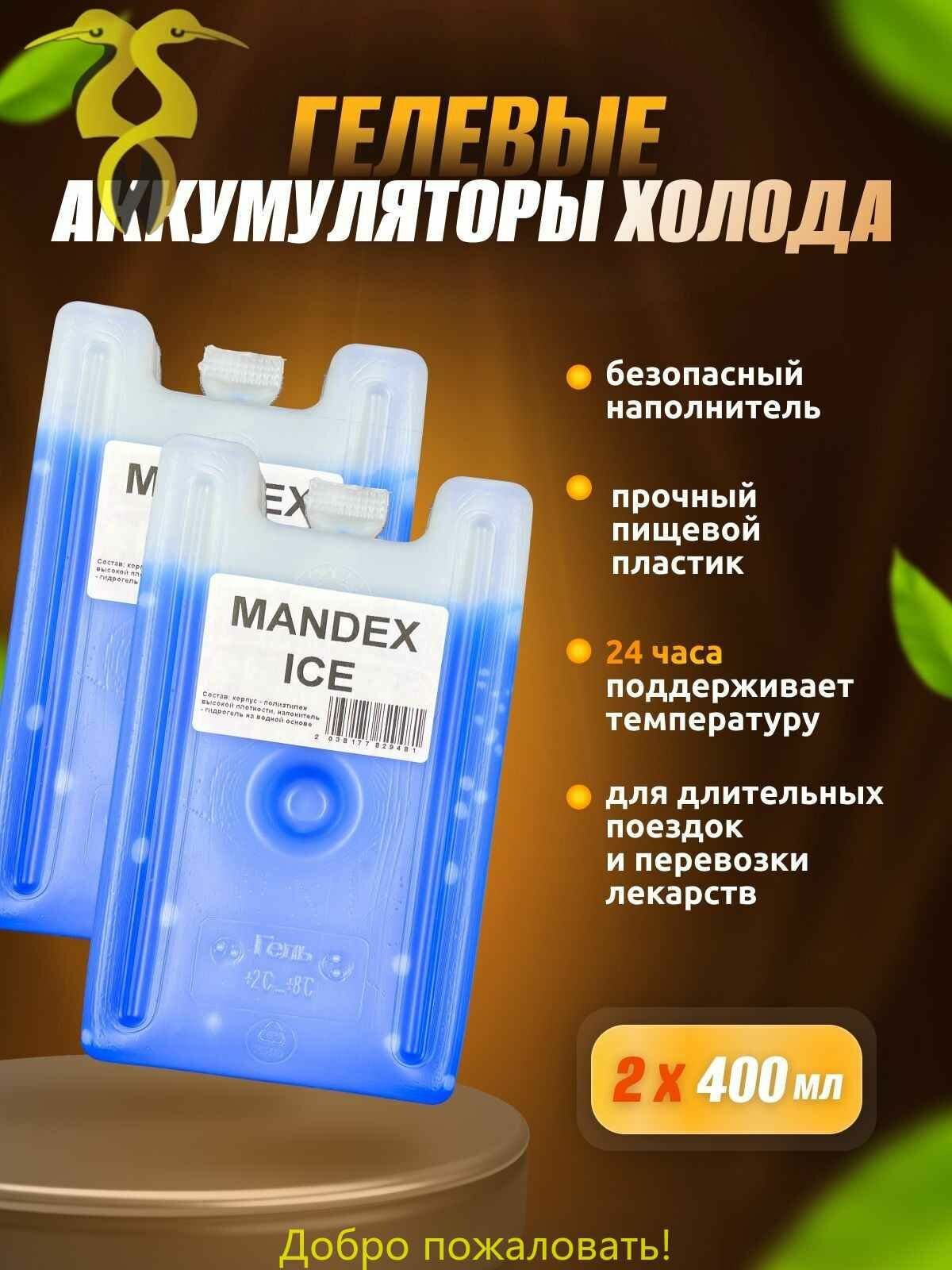 Аккумулятор холода гелевый, хладоэлемент для термосумки Mandex 2 шт