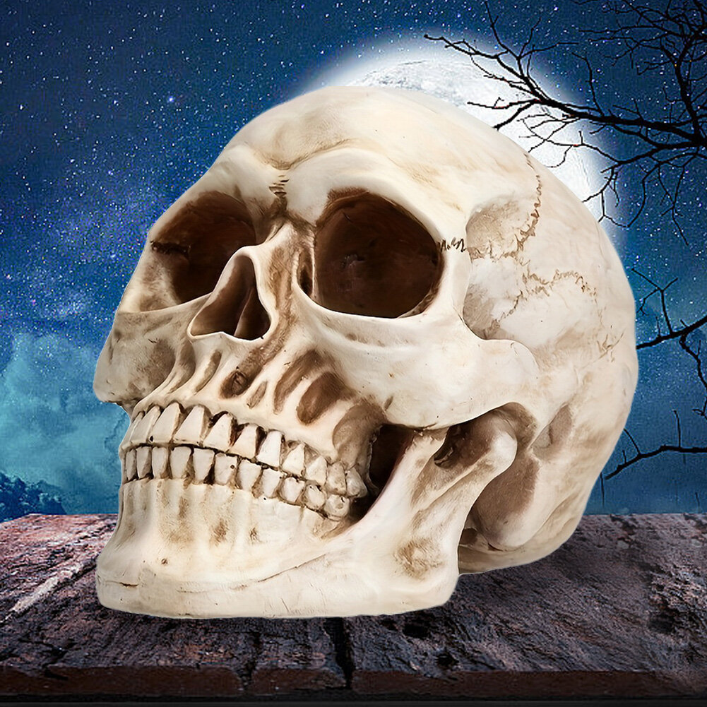 Модель головы черепа на Хэллоуин в натуральную величину статуэтка ужаса черепа для декора праздничной вечеринки