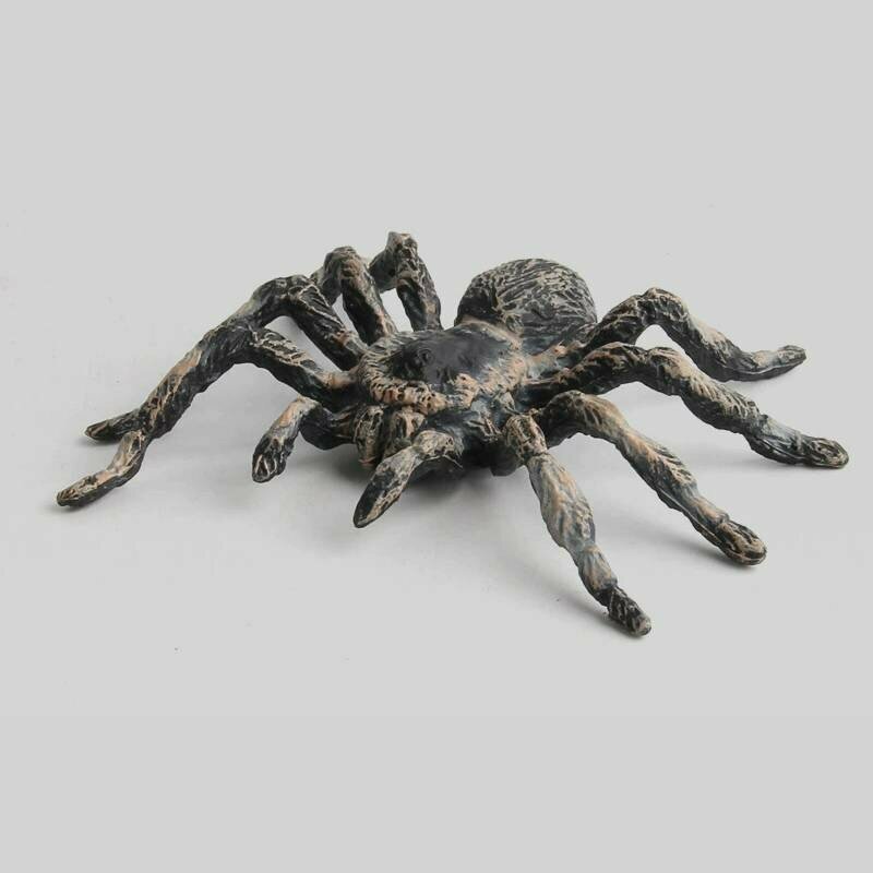 Пвх модель насекомых пчел пауков набор для научных классов образовательное展示 и наблюдение за животными серый паук