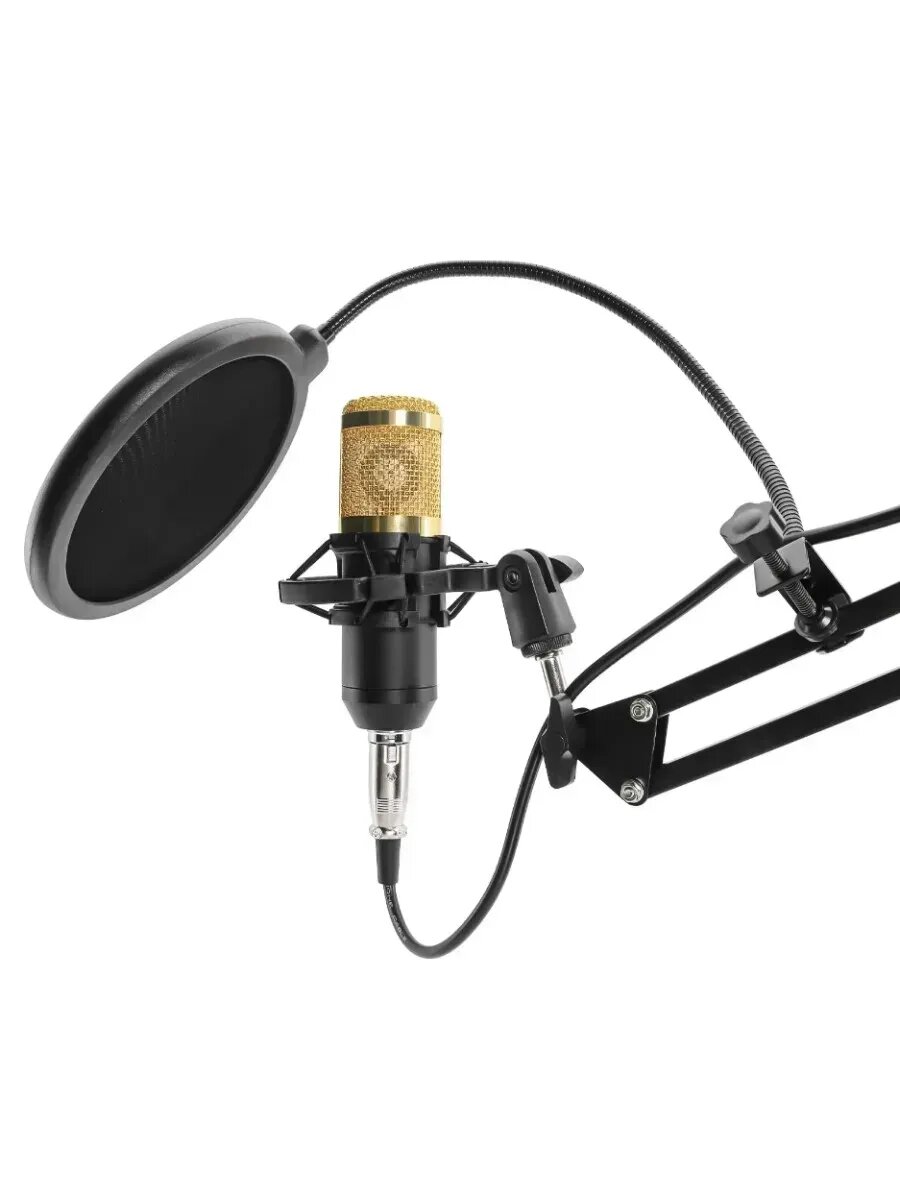 Профессиональный звукозаписывающий микрофон