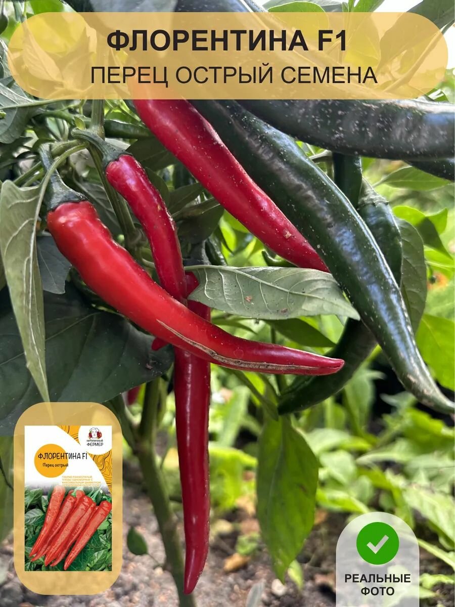 Семена Нетипичный фермер "Перец Флорентина", острый, раннеспелый, высокоурожайный, 25см