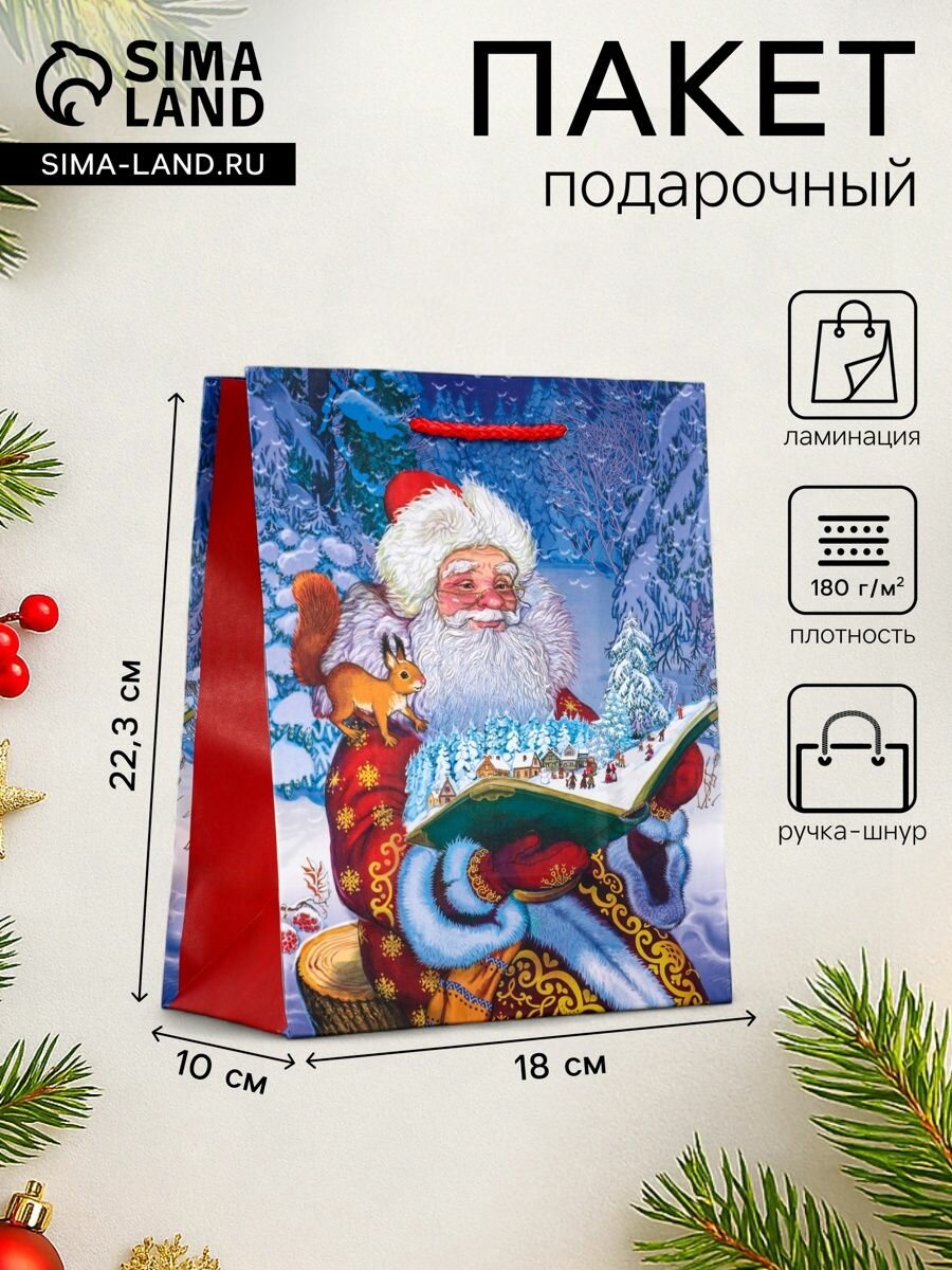 Пакет подарочный новогодний ламинированный, Дед мороз , 18 10 22.3 см