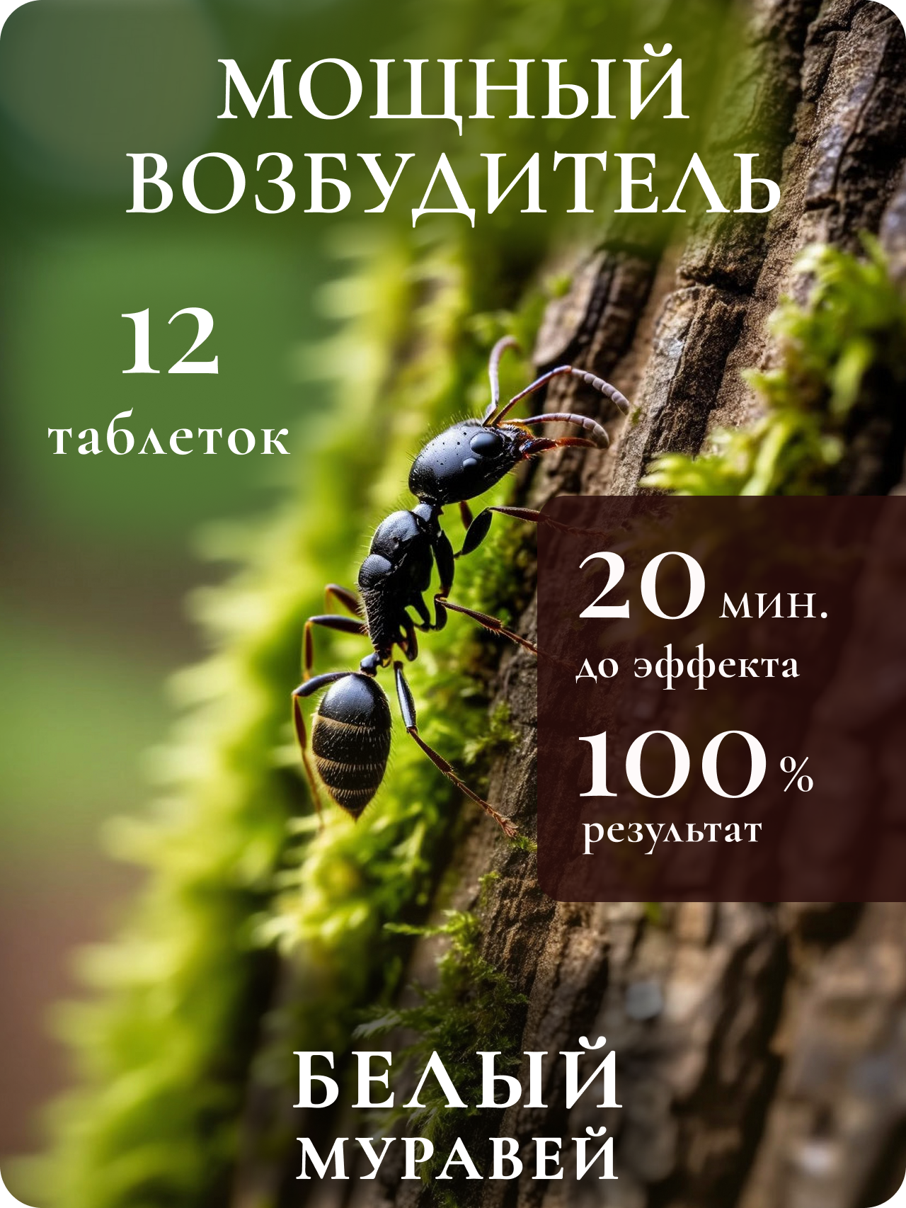 Мужской возбудитель для повышения потенции, 1 упаковка х 24 пилюли