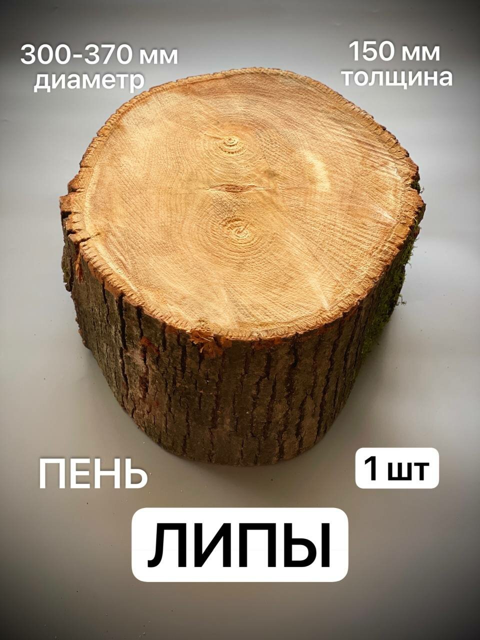 Пень Липы, диаметр 30-37 см, толщина 15 см, 1шт