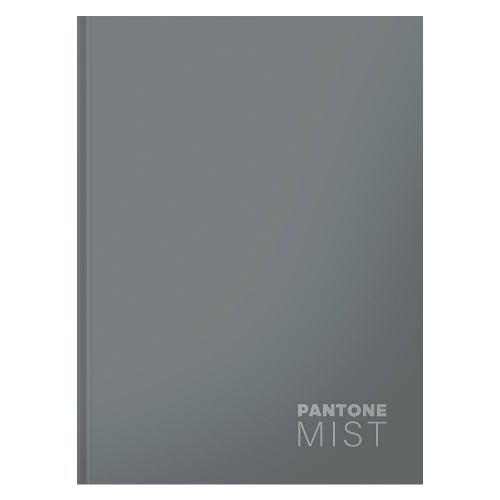 Книга для записей А5+ 96л кл. "Mist" интеграл. перепл, матов. ламин, выб. лак.