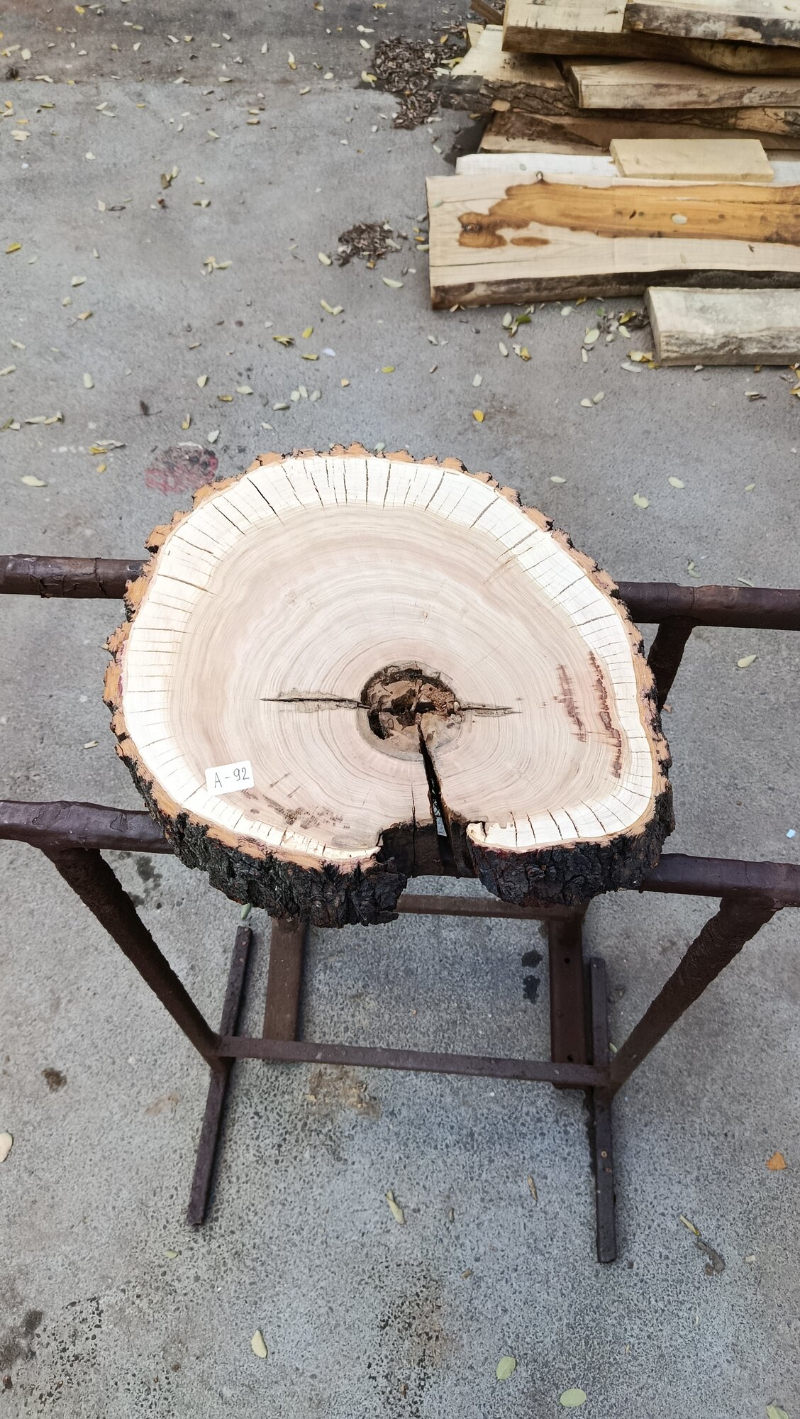 Спил из абрикоса 37х35х9см(А92), высушенный, фрезерованный спил дерева