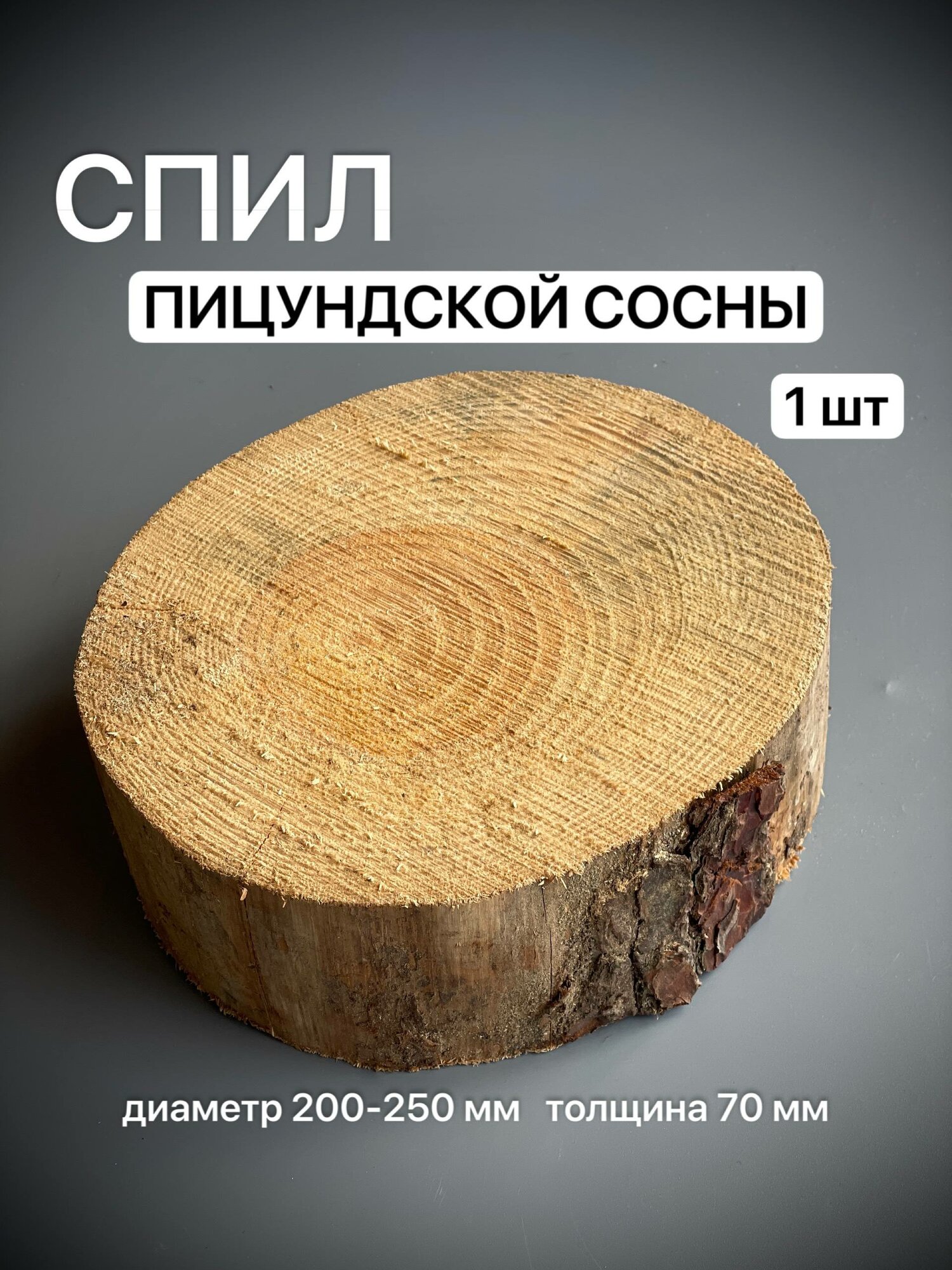 Спил Пицундской сосны, диаметр 20-25 см, толщина 7 см, 1шт