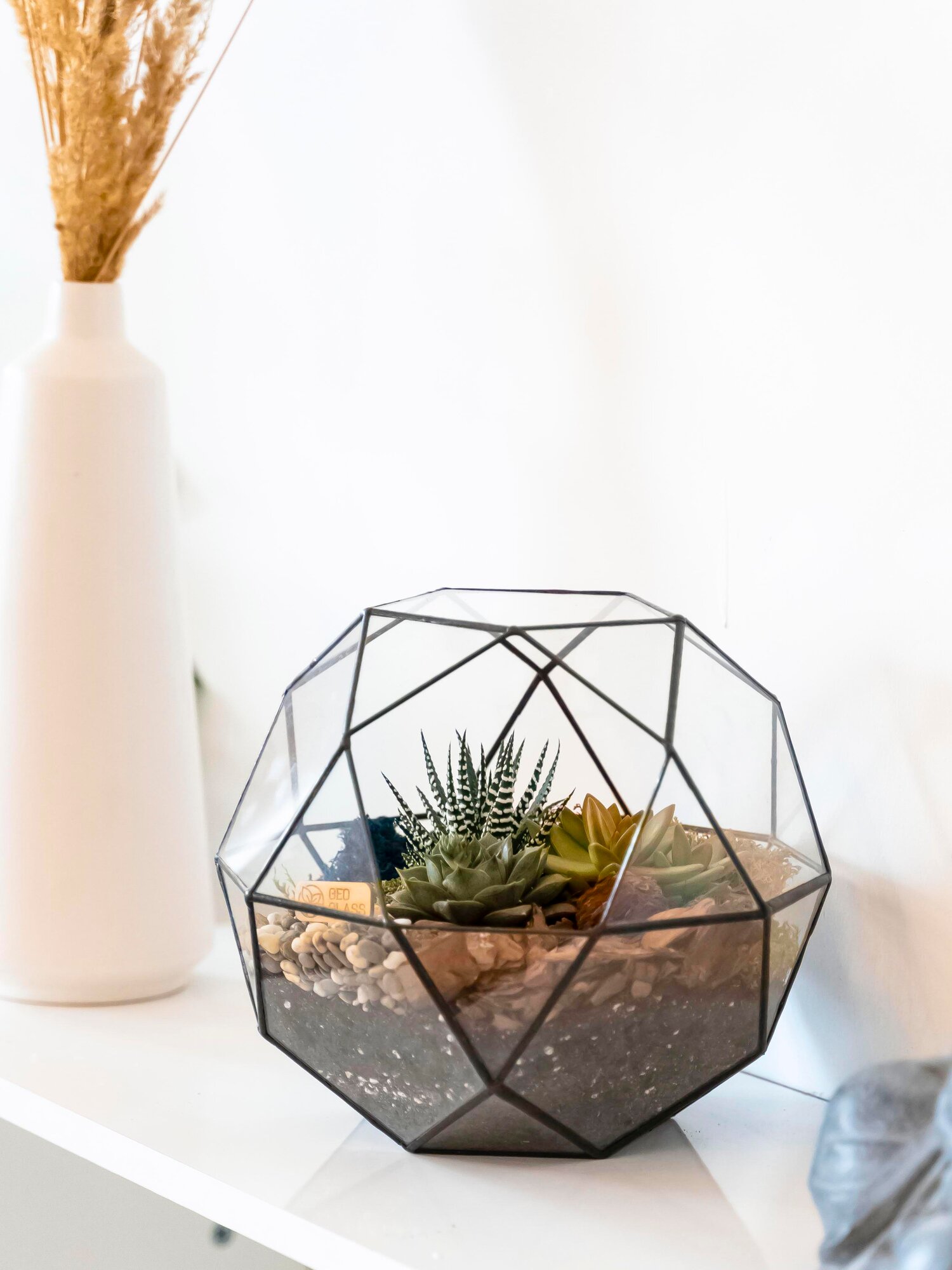 Geo Glass: Суккуленты живые , стеклянный флорариум , подарок — фото 1