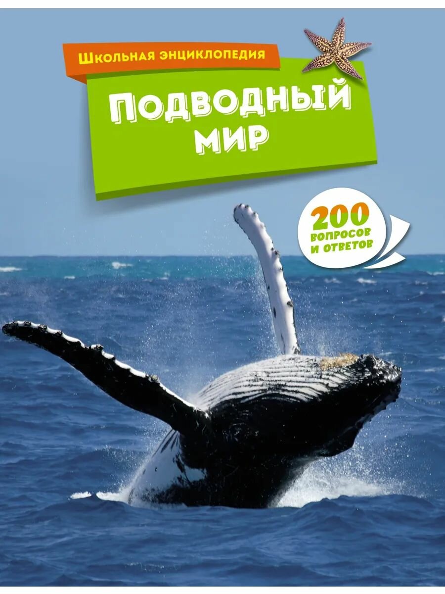 Подводный мир