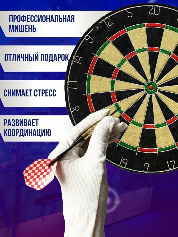 Набор для игры в дартс — фото 1