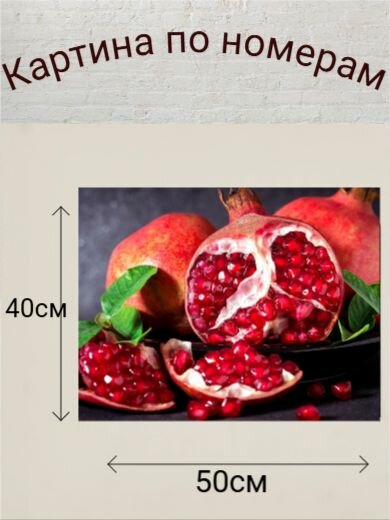 Картина по номерам: создайте шедевр своими руками! Kolibriki (размер 40х50 см)