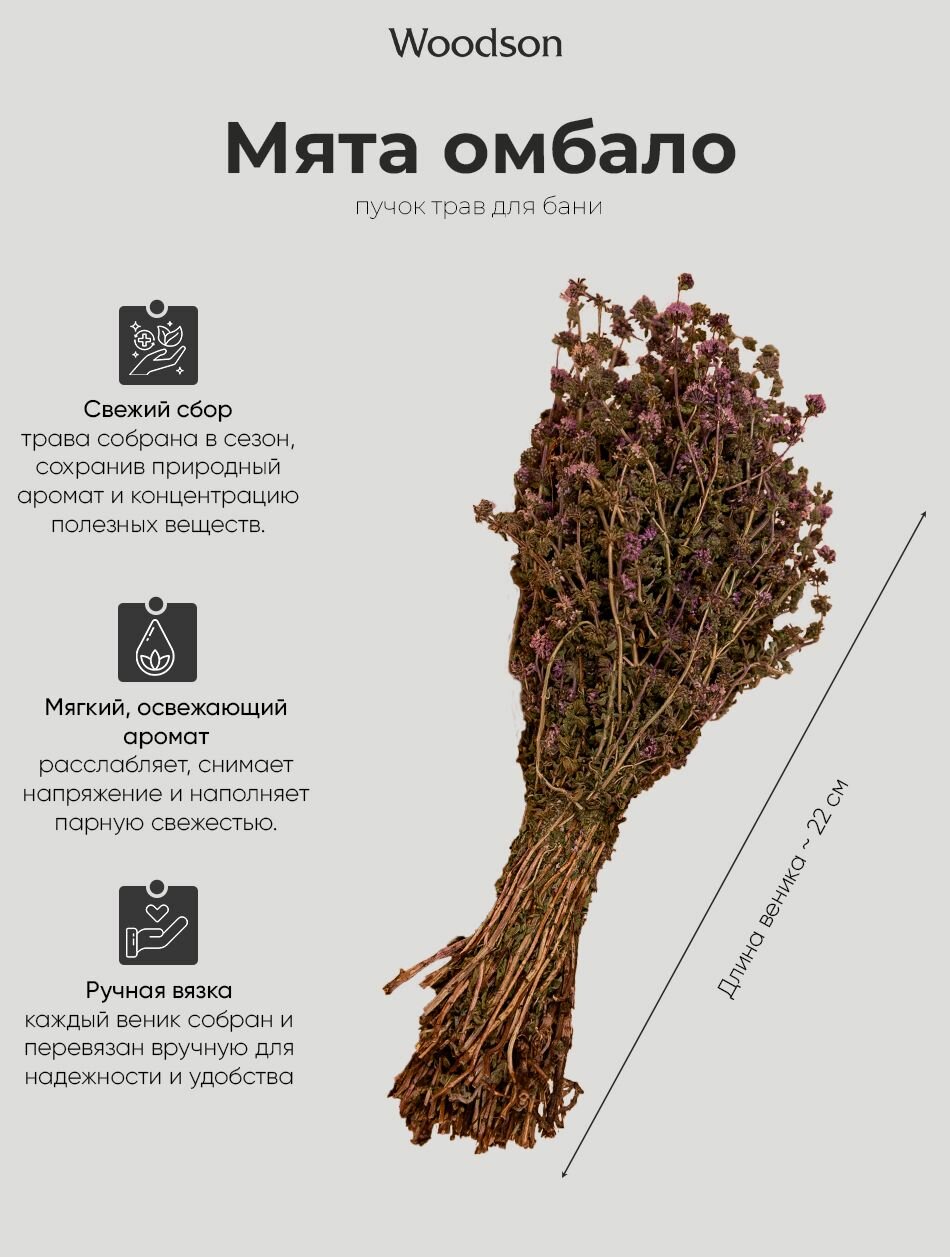 Веник для бани из мяты омбало, пучок, трава-запарник сухоцвет
