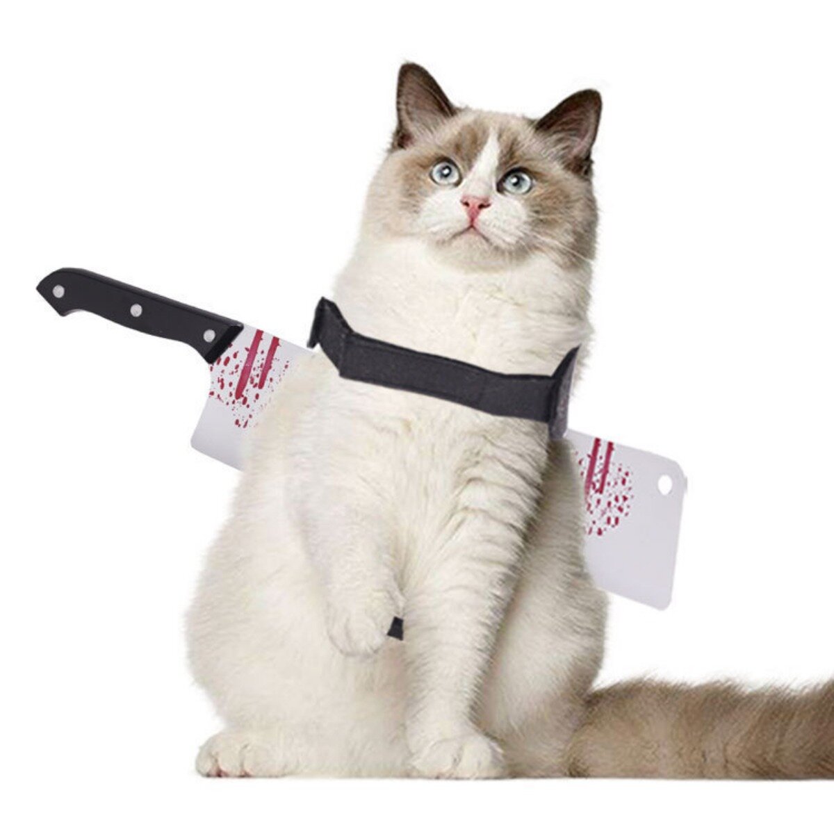 Странные Pet Собака Собака Кошка Одежда Декоративные Pet Одежда Pet Игрушки