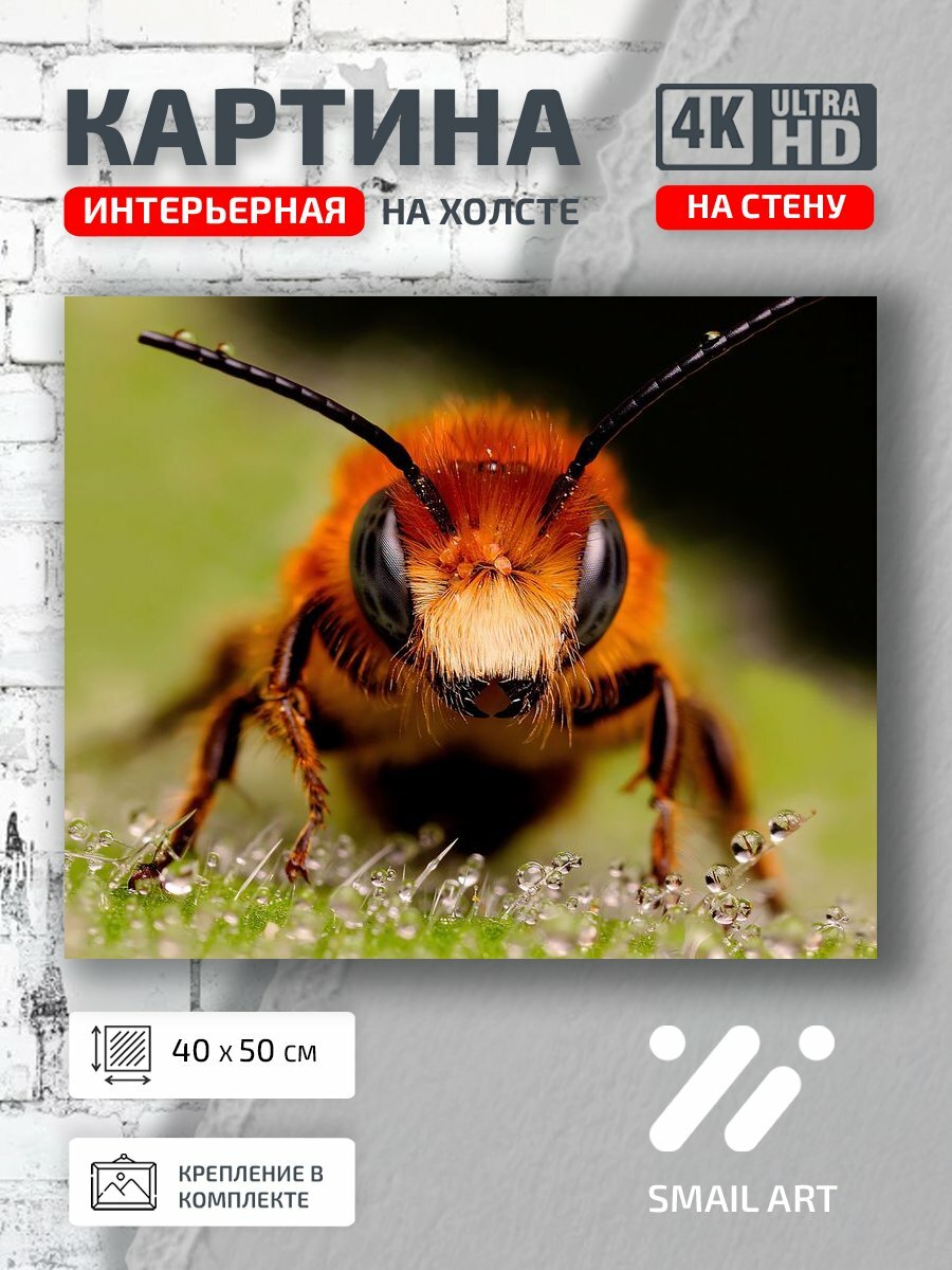 Картина на холсте интерьерная 40 на 50 на стену Деталь Macro для кабинета макро интерьер