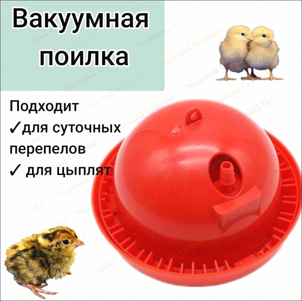 Вакуумная автоматическая колокольная поилка для перепелят и суточнй птицы