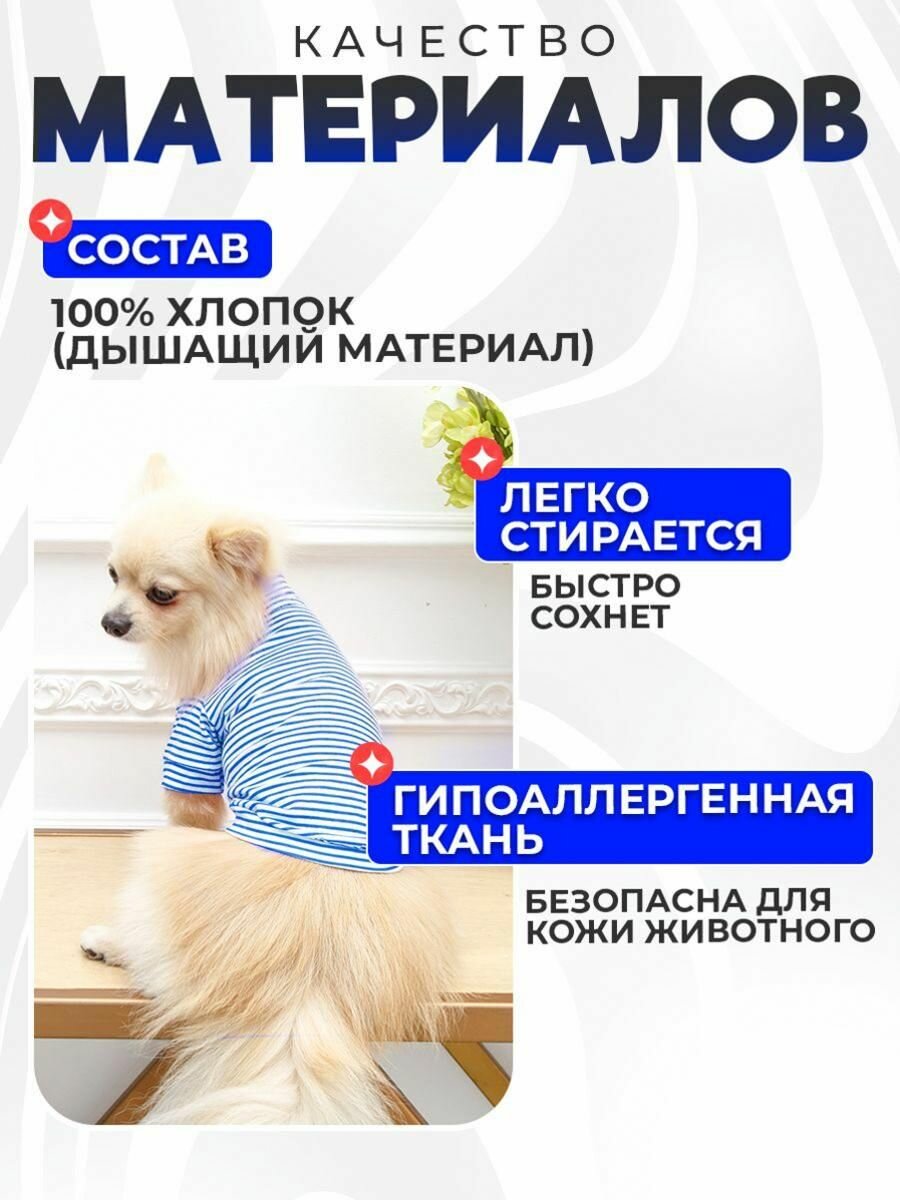 Одежда для животных — фото 1