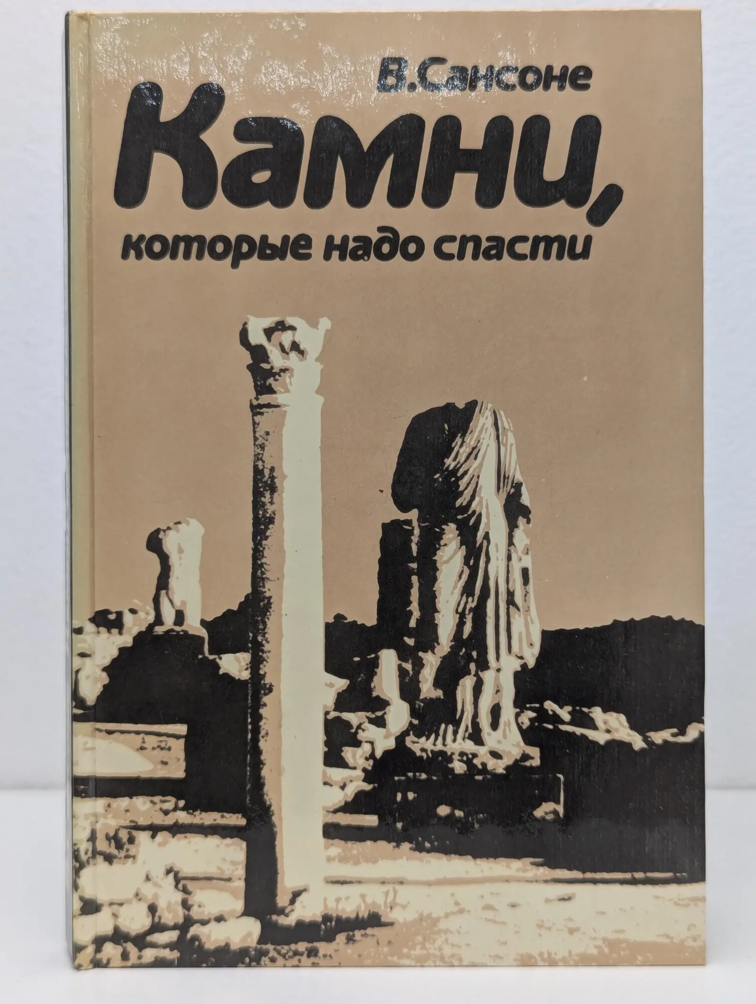 Камни, которые надо спасти Сансоне Никола 1986