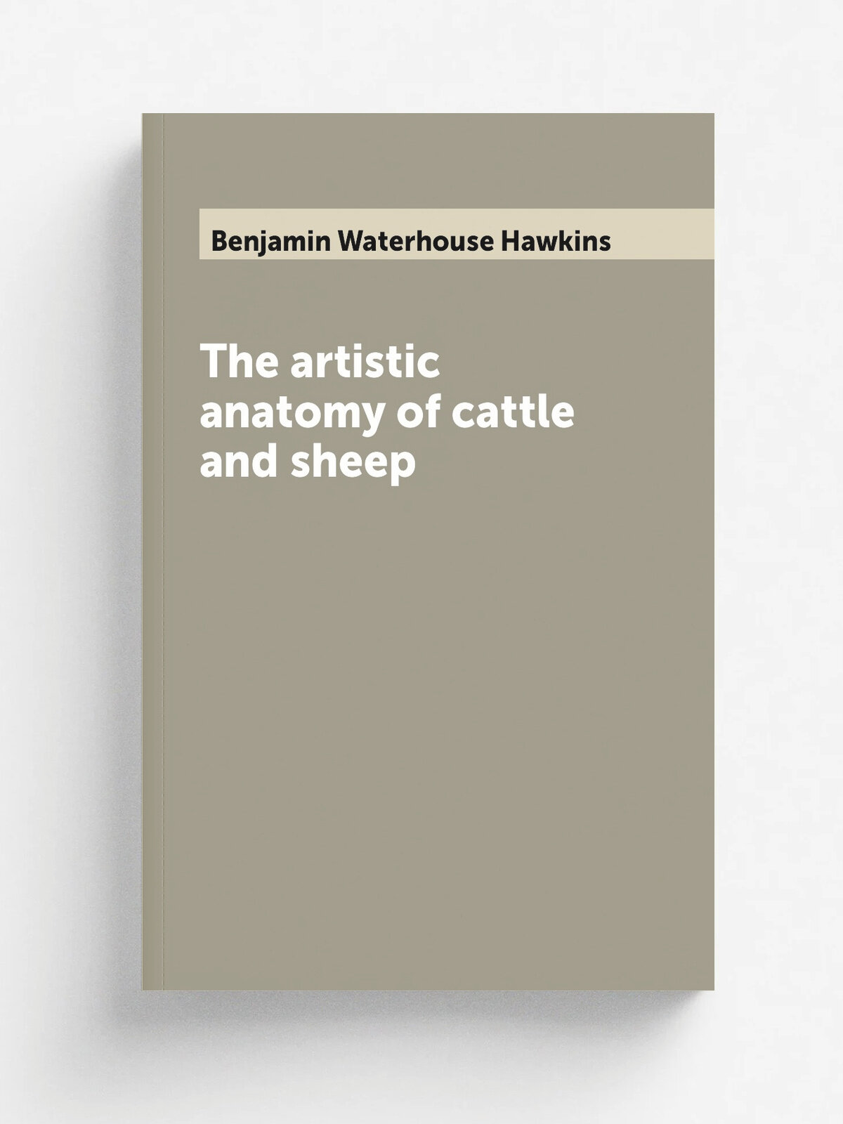 The artistic anatomy of cattle and sheep