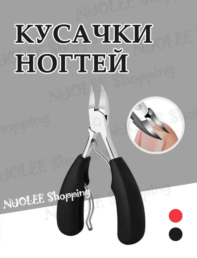 Книпсер